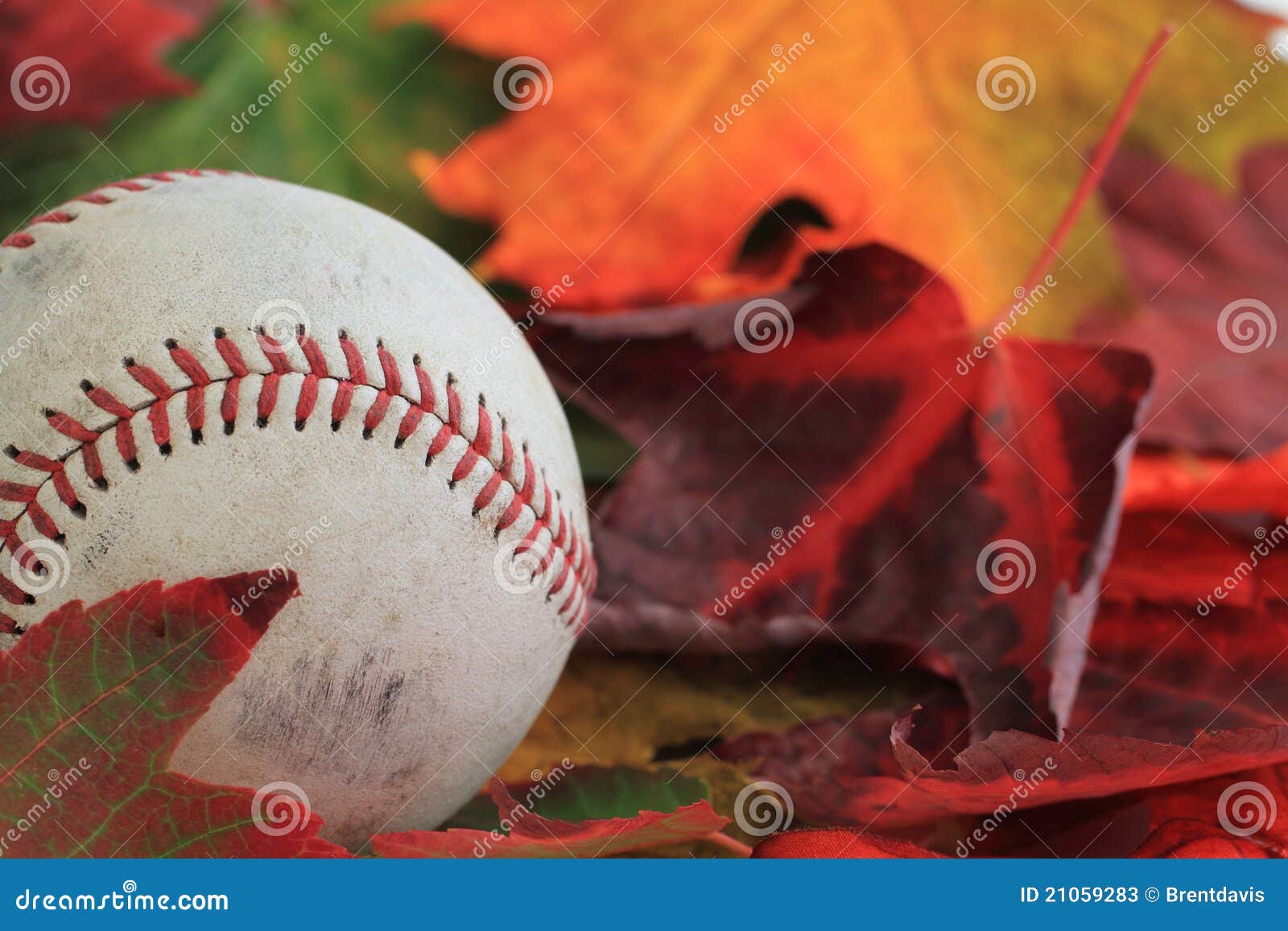 Autumn Baseball stock image. Image of green, fall, baseball - 21059283