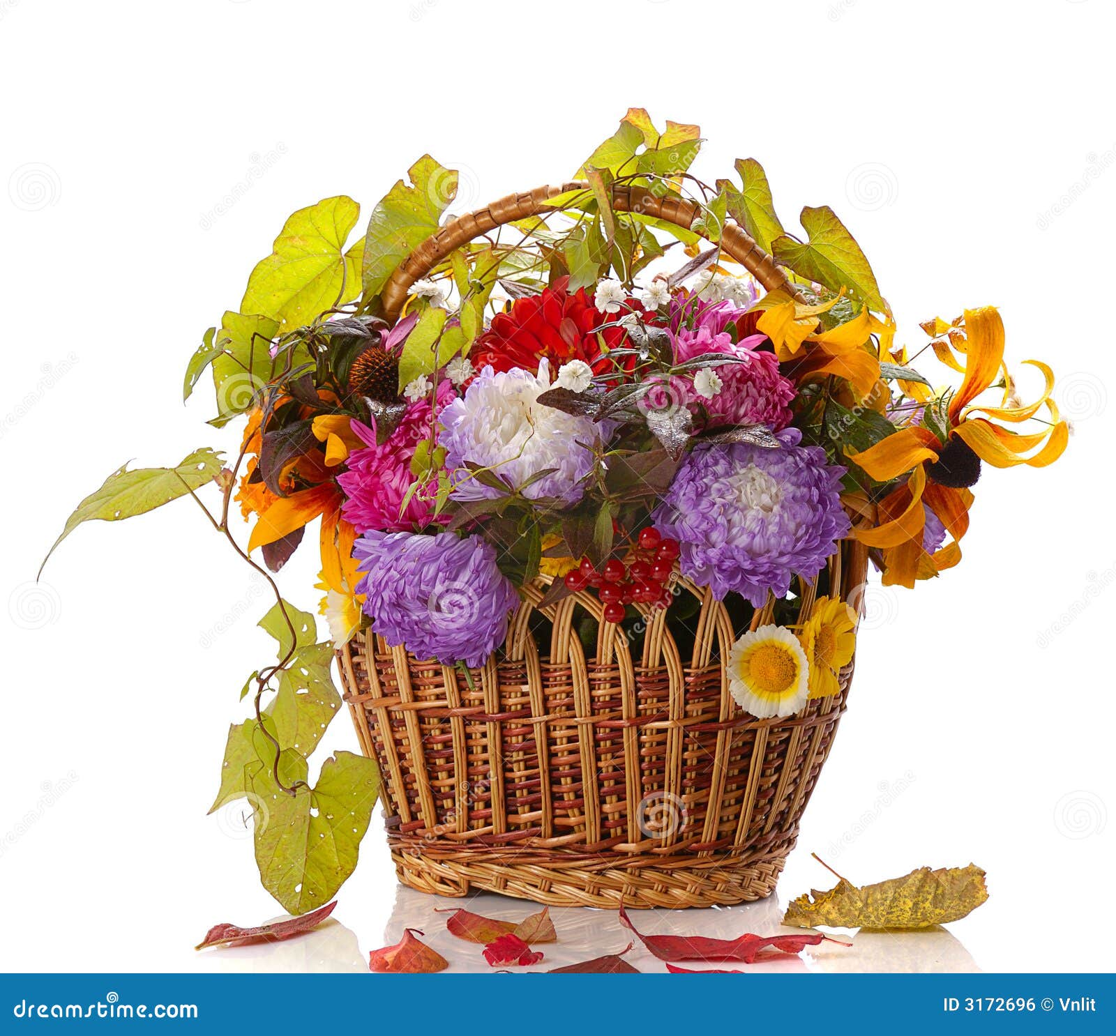 Autumn basket stock photo. Image of close, beautiful, orange - 3172696