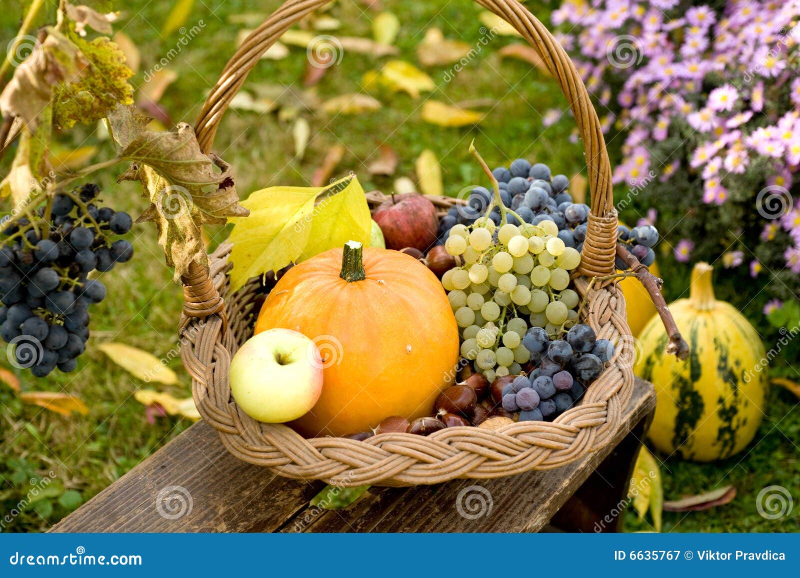 Autumn basket stock image. Image of brown, green, grape - 6635767