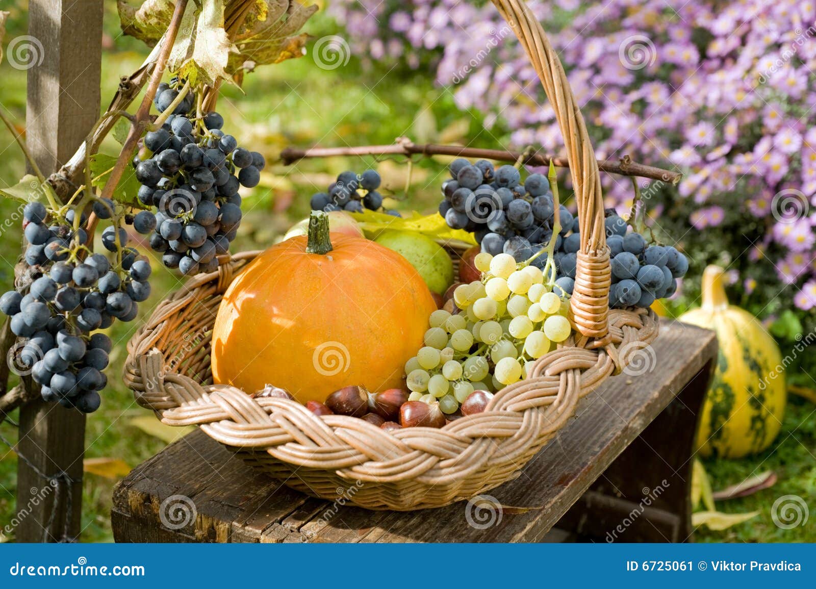 Autumn basket stock image. Image of fresh, fall, outdoor - 6725061