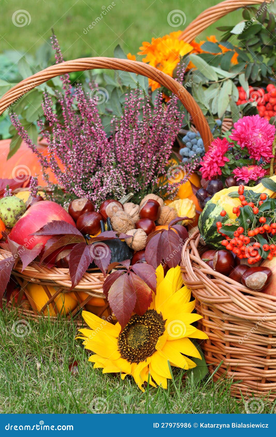 Autumn baskets stock photo. Image of colorful, chestnut - 27975986