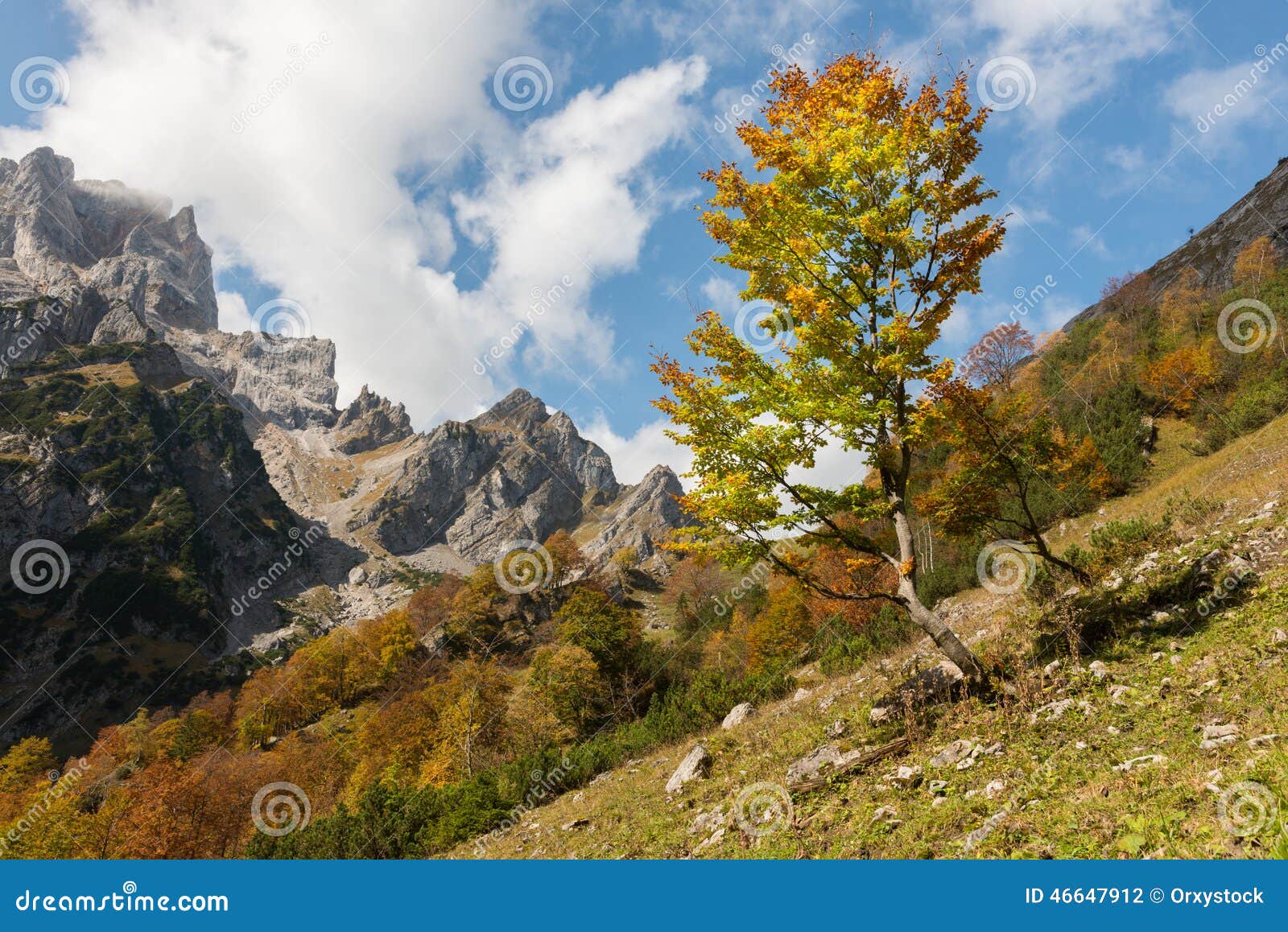 Autumn in the Bavarian Alps Stock Photo - Image of alps, countryside ...