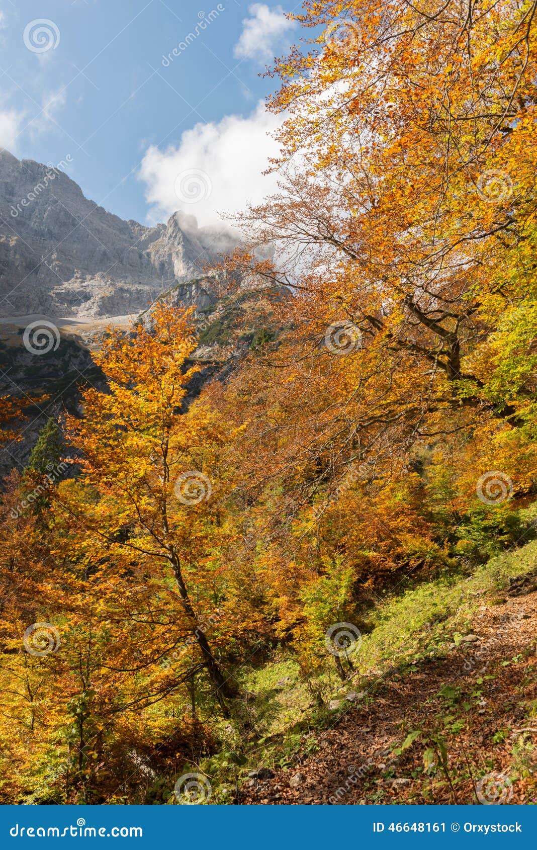 Autumn in Bavarian Alps stock image. Image of colors - 46648161