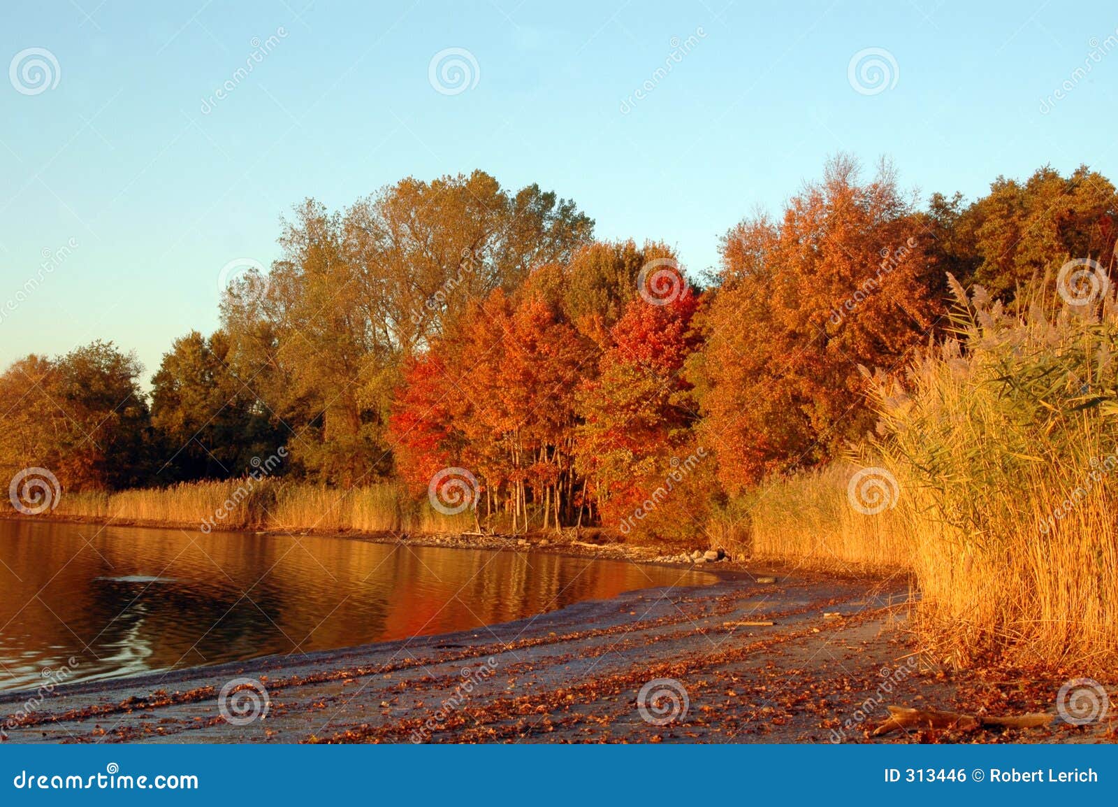 Autumn Beach 1043 Royalty Free Stock Image - Image: 313446