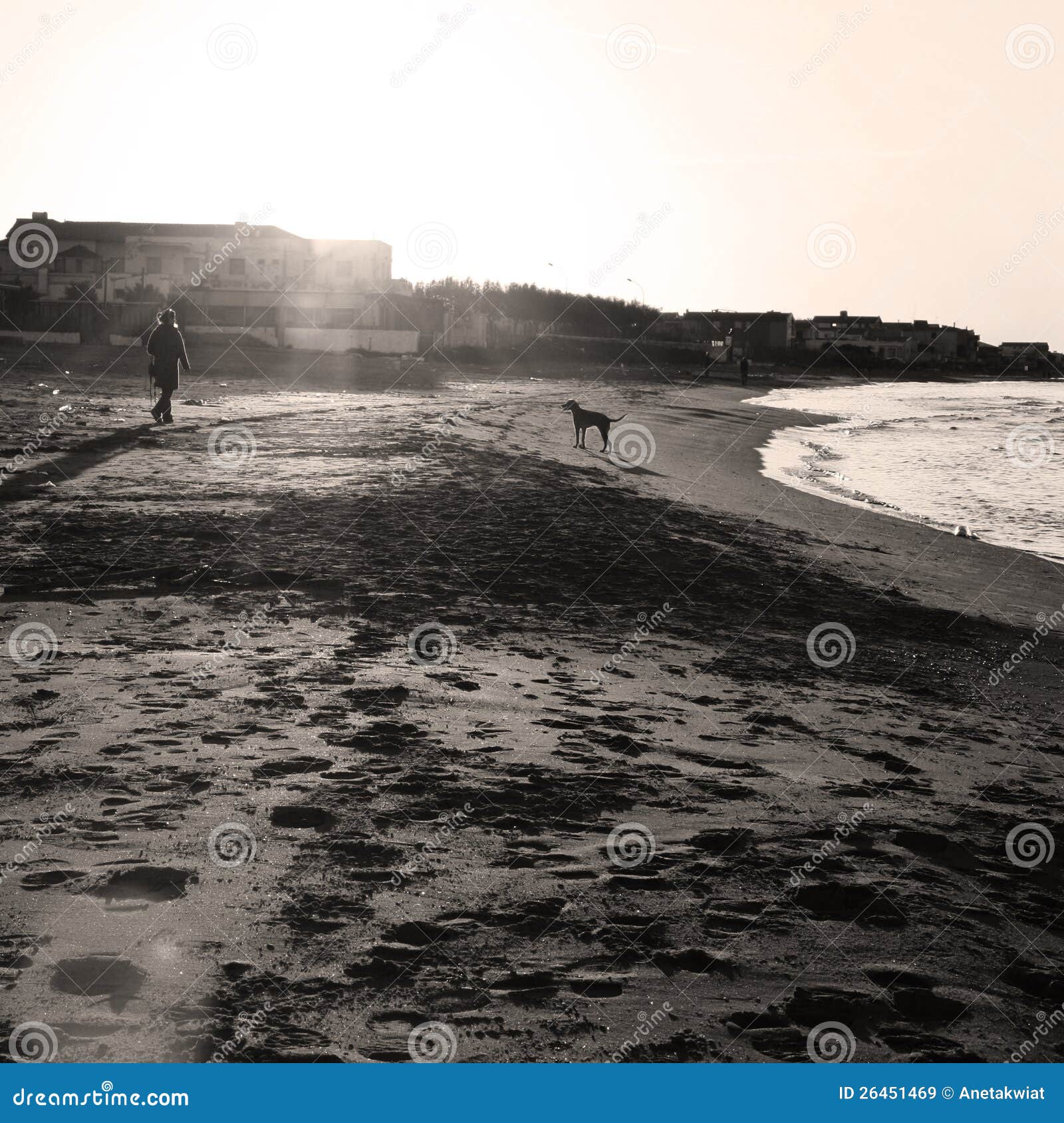 Autumn beach stock image. Image of white, sunset, autumn - 26451469