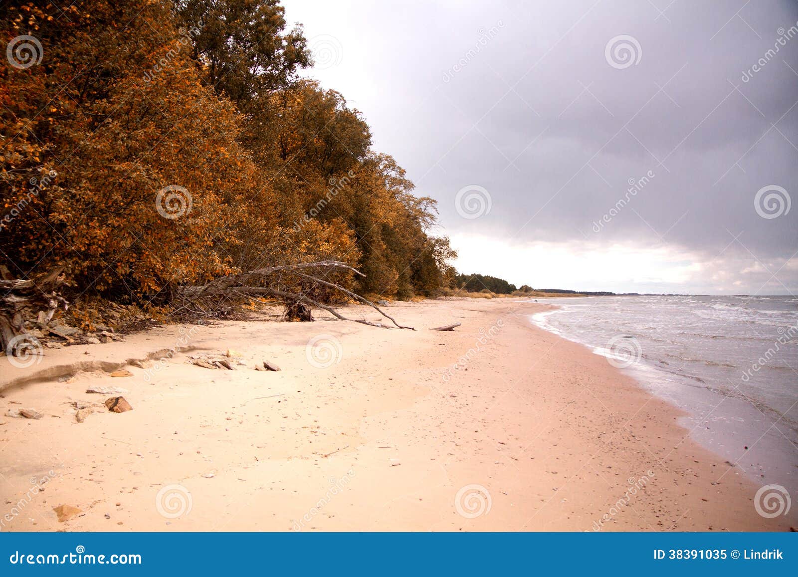 Autumn beach stock image. Image of beach, horizon, region - 38391035
