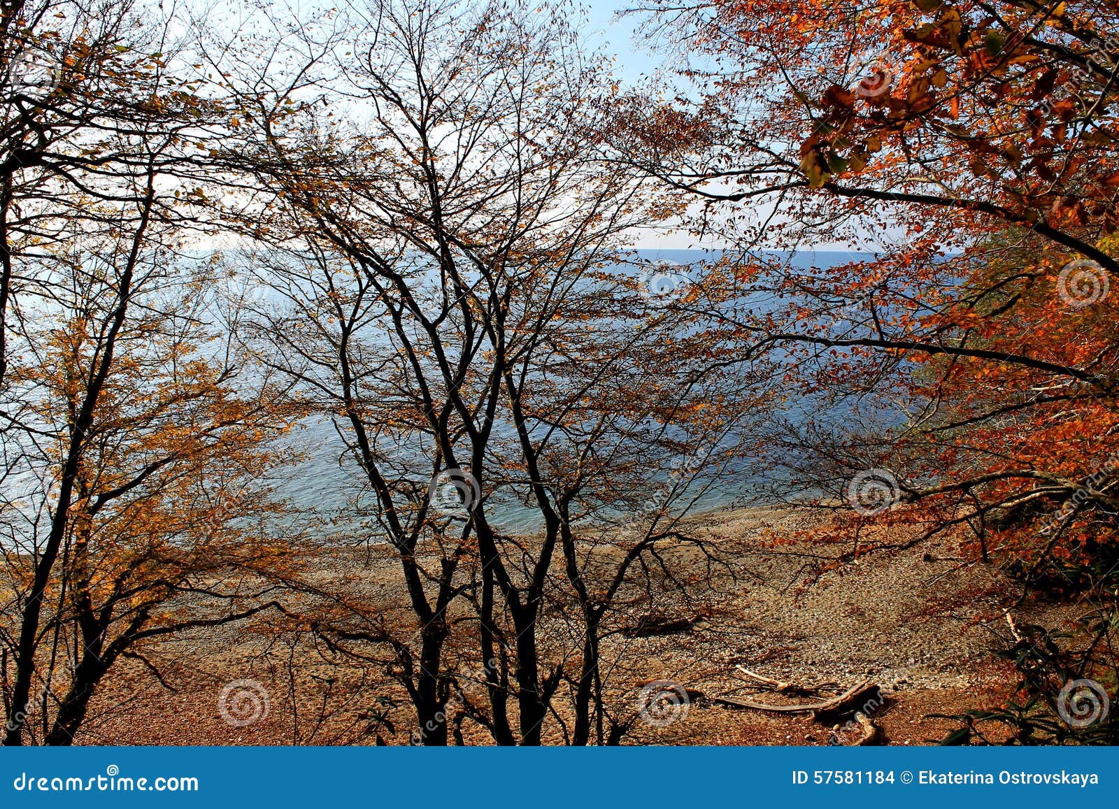 Autumn beach stock photo. Image of colorful, october - 57581184