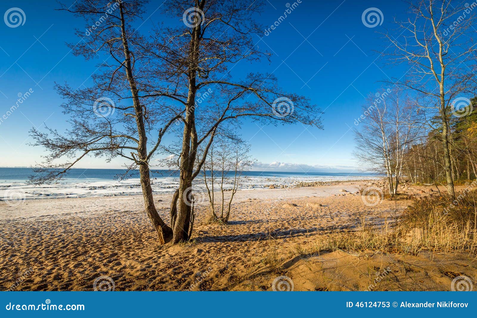 Autumn on the beach stock image. Image of beach, frosty - 46124753