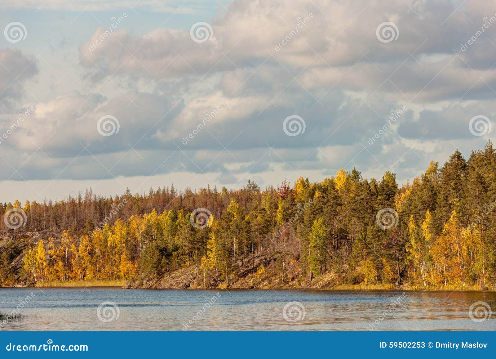 Autumn beach stock image. Image of lake, leaf, vibrant - 59502253