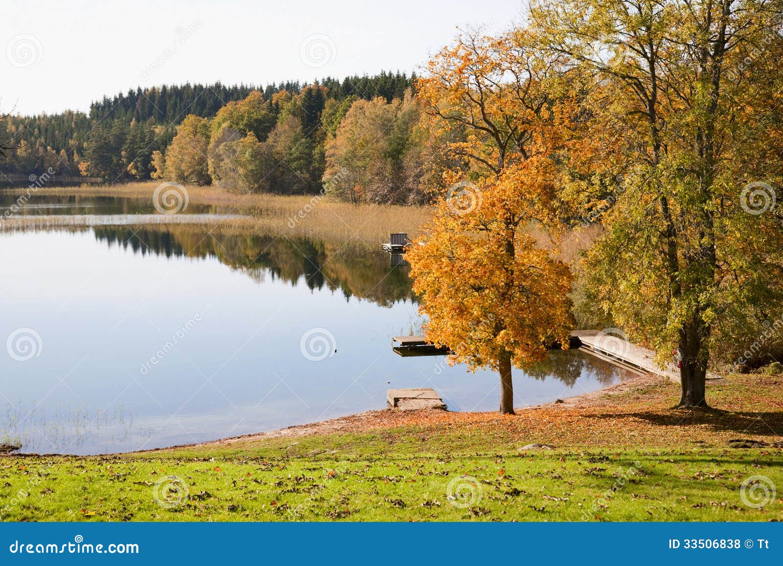 Autumn beach stock photo. Image of reflection, jetty - 33506838