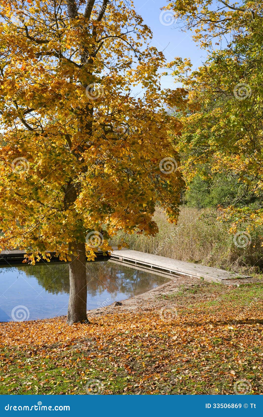 Autumn beach stock image. Image of natural, footbridges - 33506869
