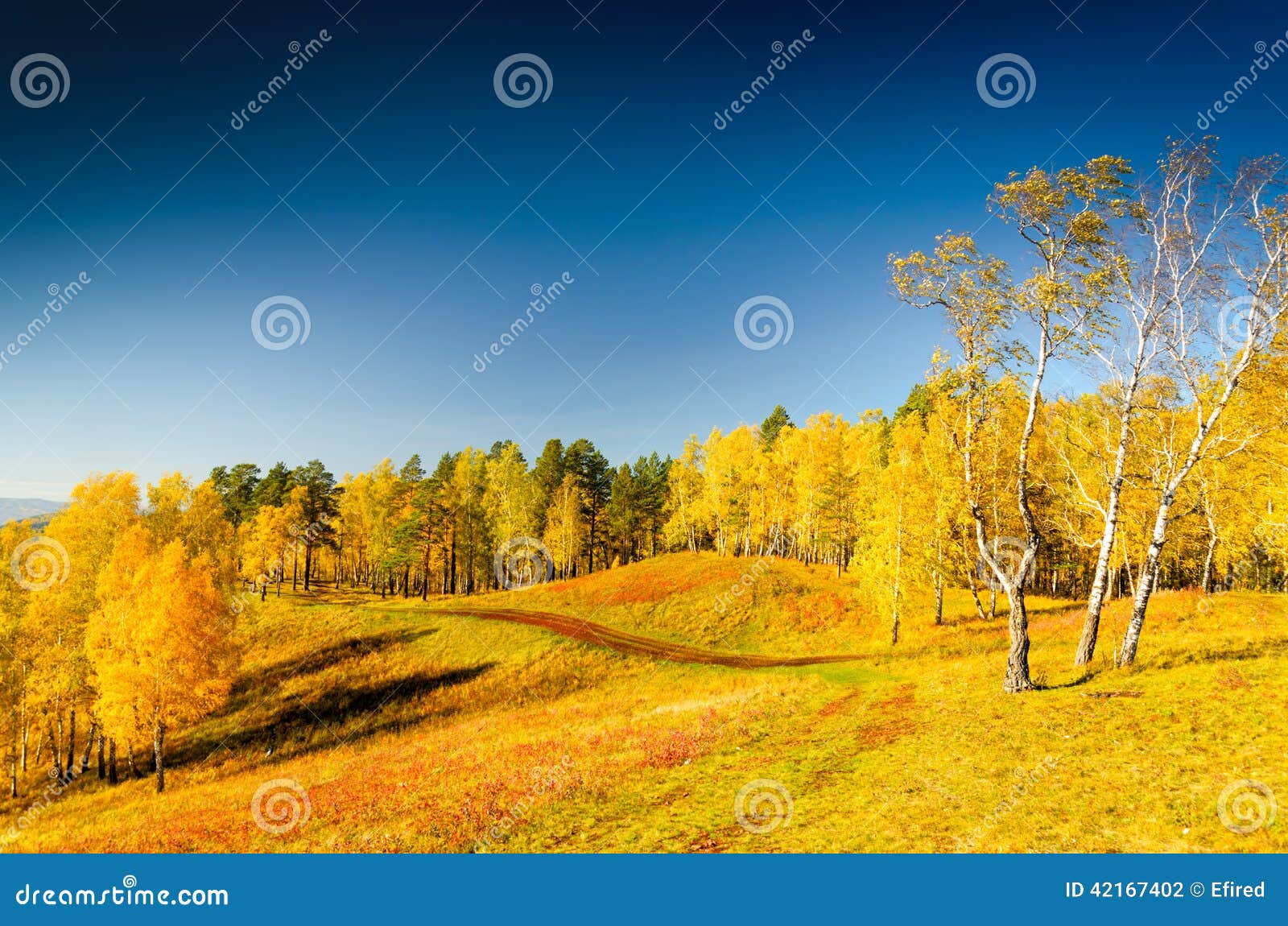 Beautiful Autumn Landscape. Fall Season Stock Photo - Image of colorful ...