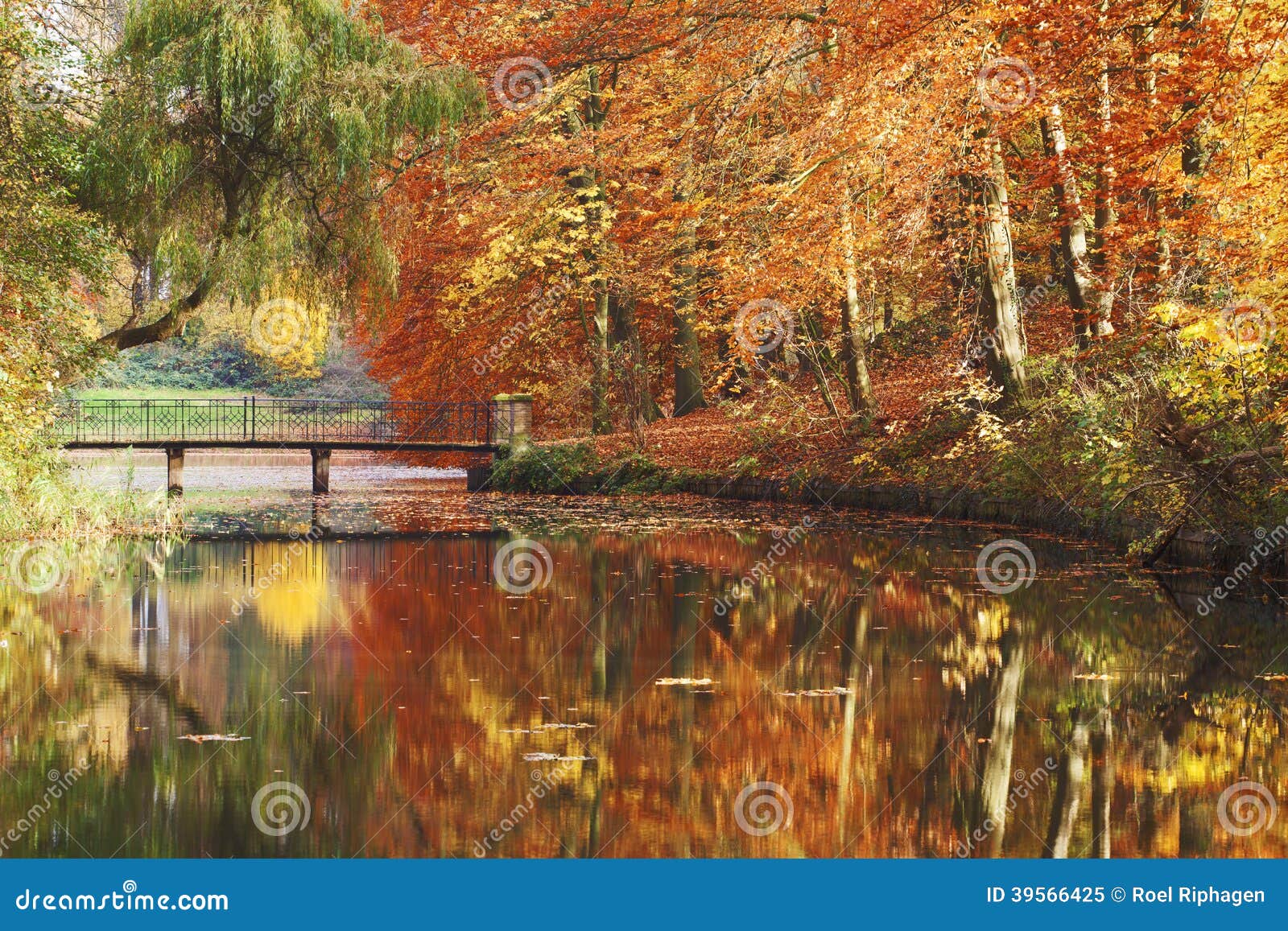Autumn in a beautiful park stock image. Image of netherlands - 39566425