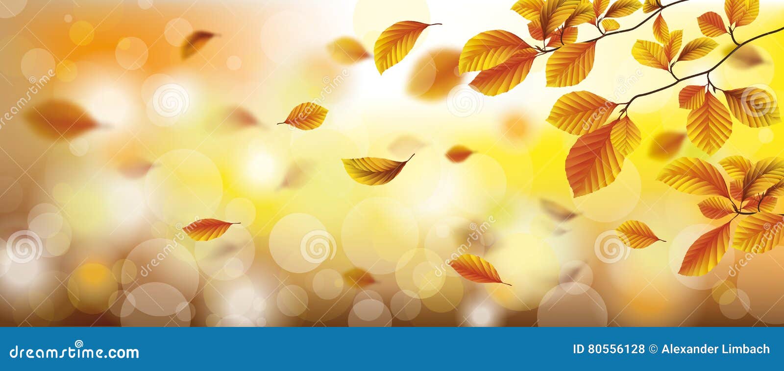 Autumn Beech Foliage Fall Sunlights Wind Header Stock Vector ...