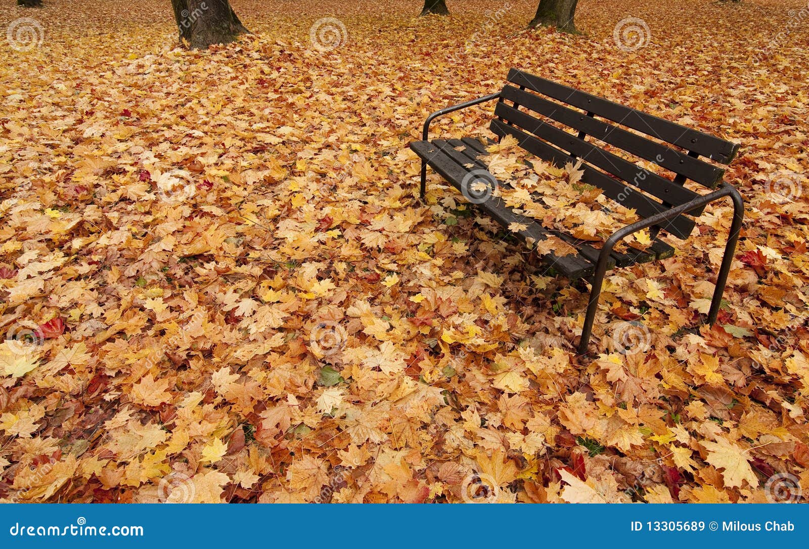 Autumn bench stock image. Image of tranquil, resting - 13305689