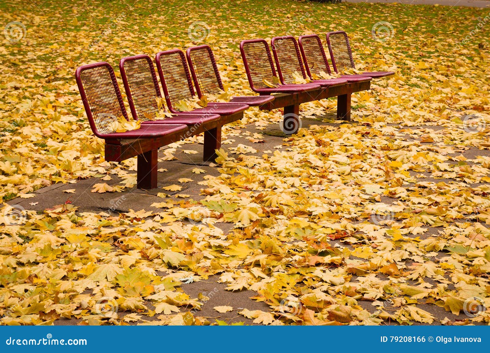 Autumn bench stock photo. Image of beautiful, garden - 79208166