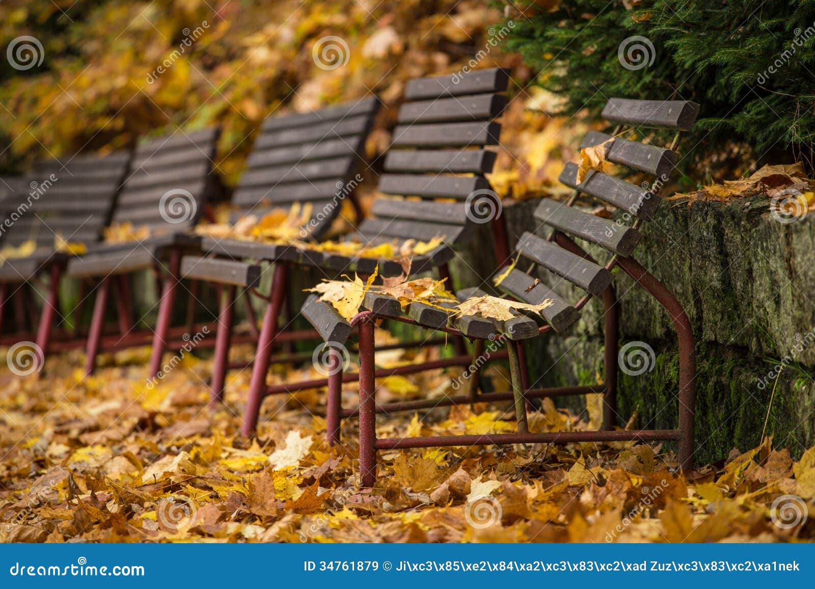 Autumn bench stock image. Image of tree, fall, landscape - 34761879