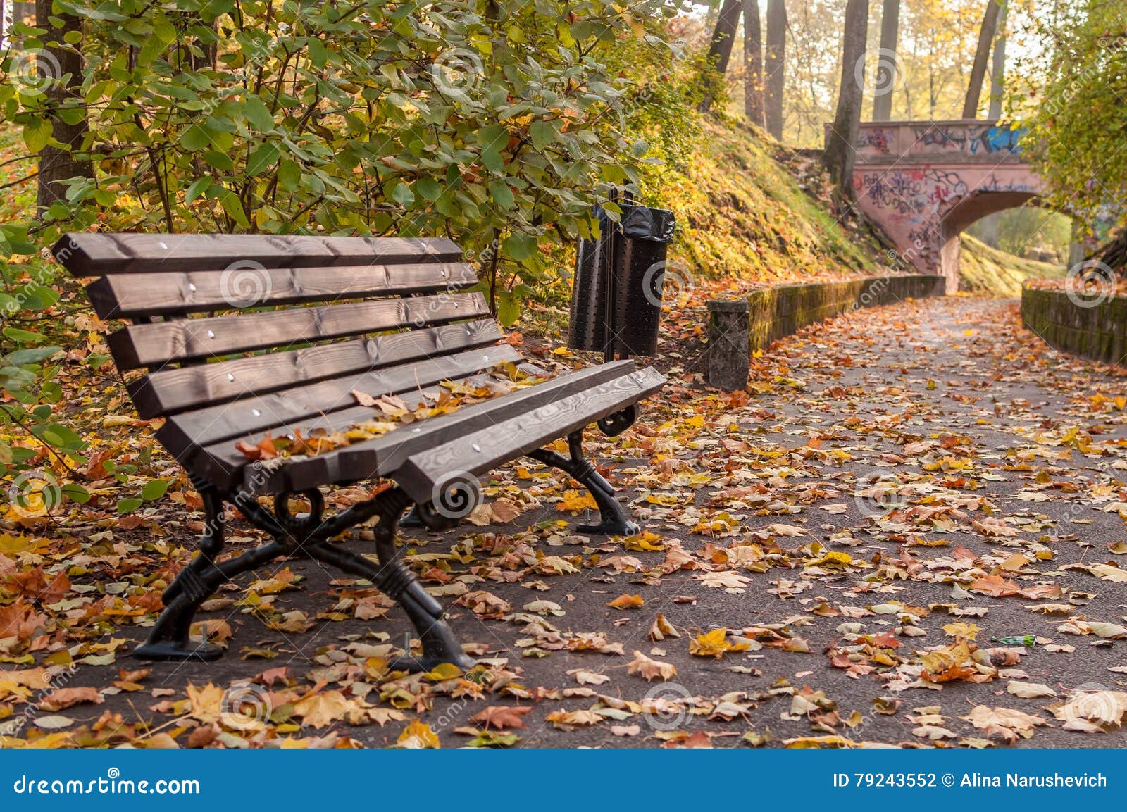 Autumn Bench and Path To the Bridge Stock Photo - Image of empty ...