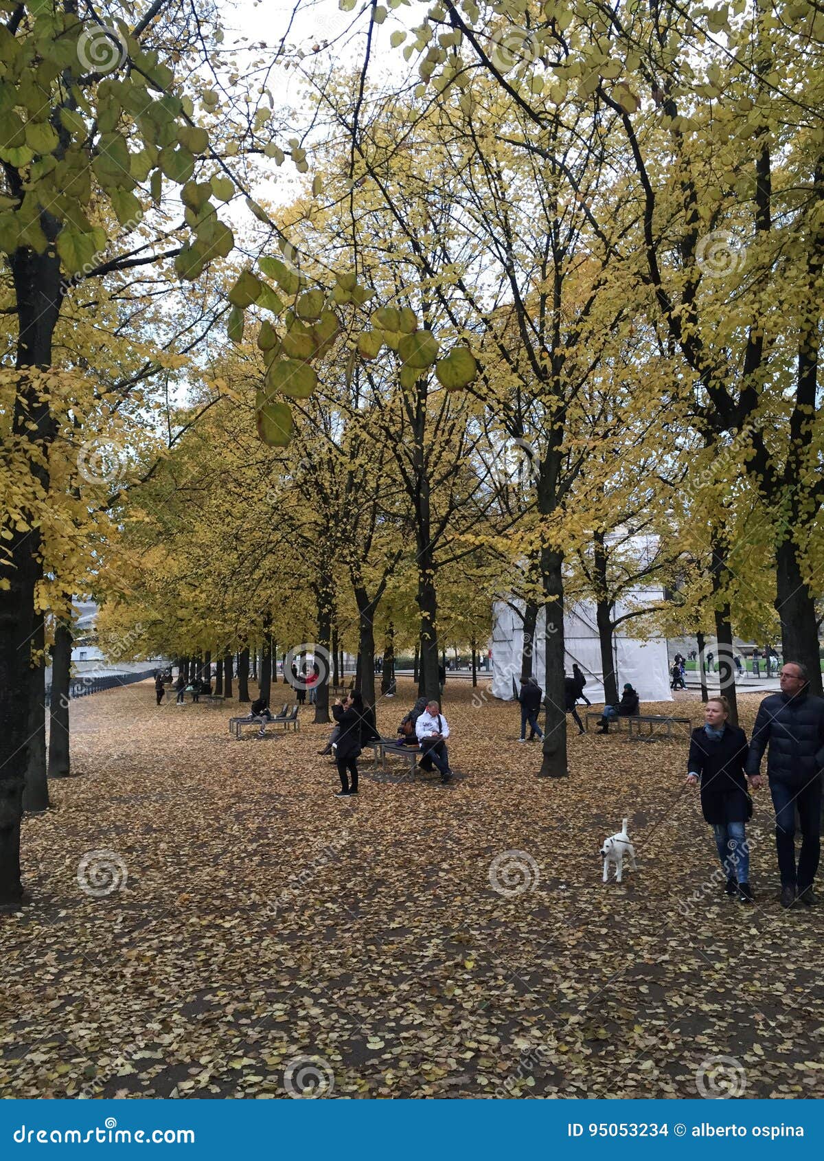 Autumn in berlin editorial stock image. Image of autumn - 95053234