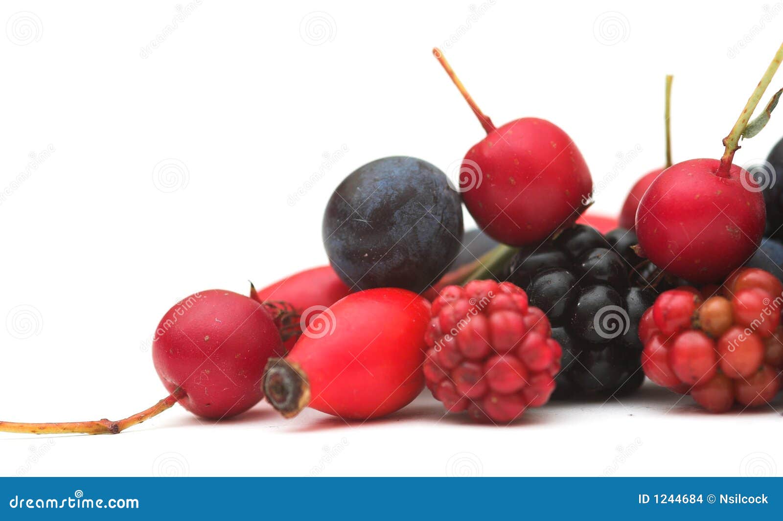 Autumn Berries stock photo. Image of colourful, medley - 1244684