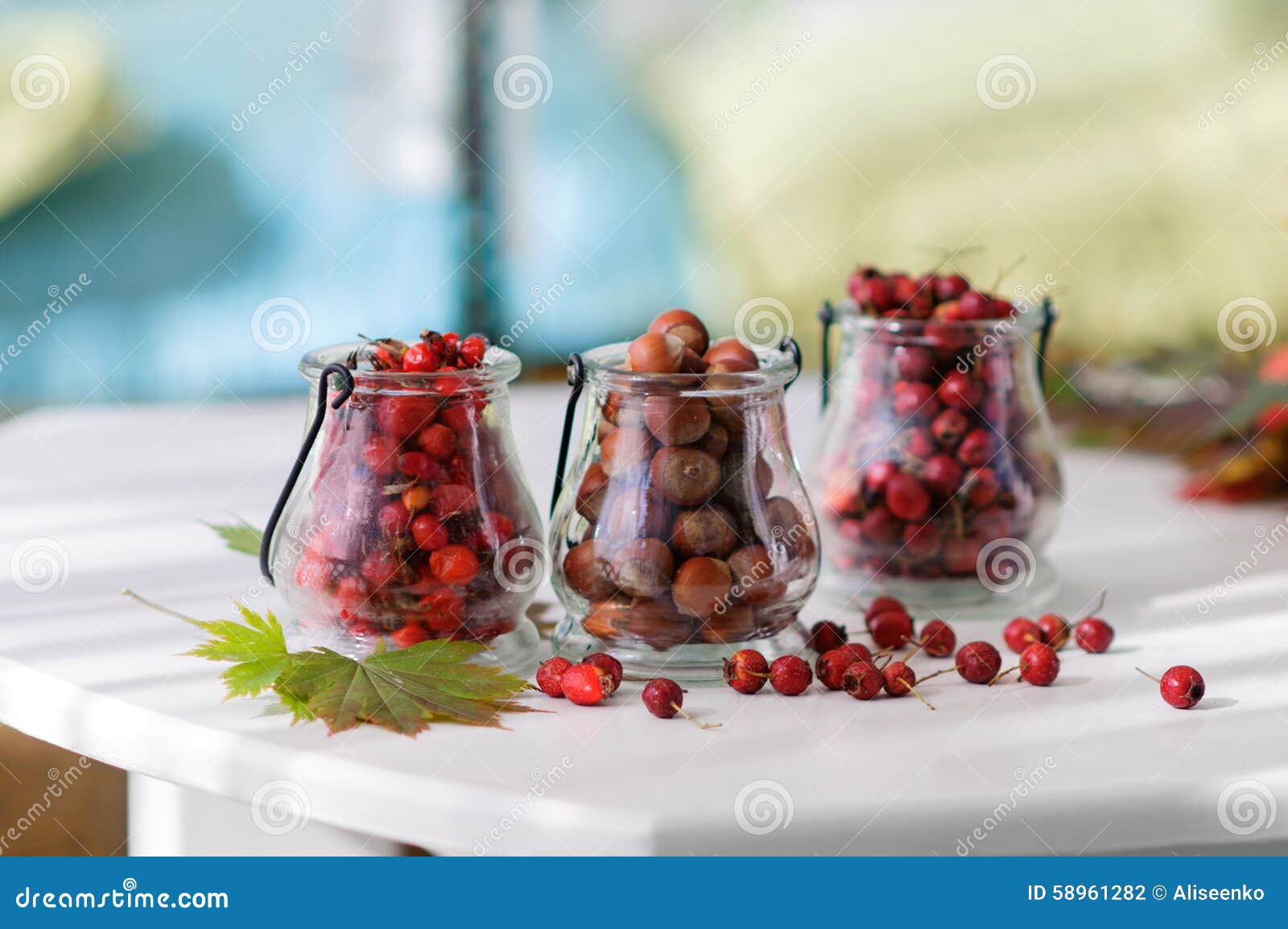 Autumn berries stock photo. Image of forest, nutshell - 58961282