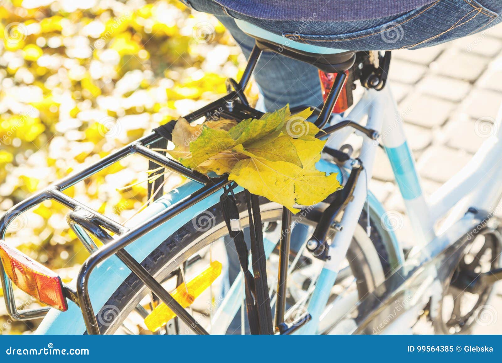 Autumn Bike Ride. Fallen Maple Leaves on Trunk of Bicycle Stock Image ... Autumn Bike Ride. Fallen Maple Leaves on Trunk of Bicycle Stock Image ...