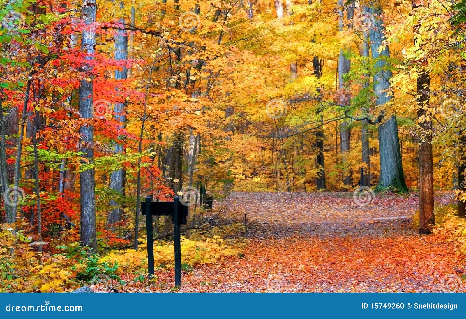 Autumn bike trail stock photo. Image of nature, native - 15749260