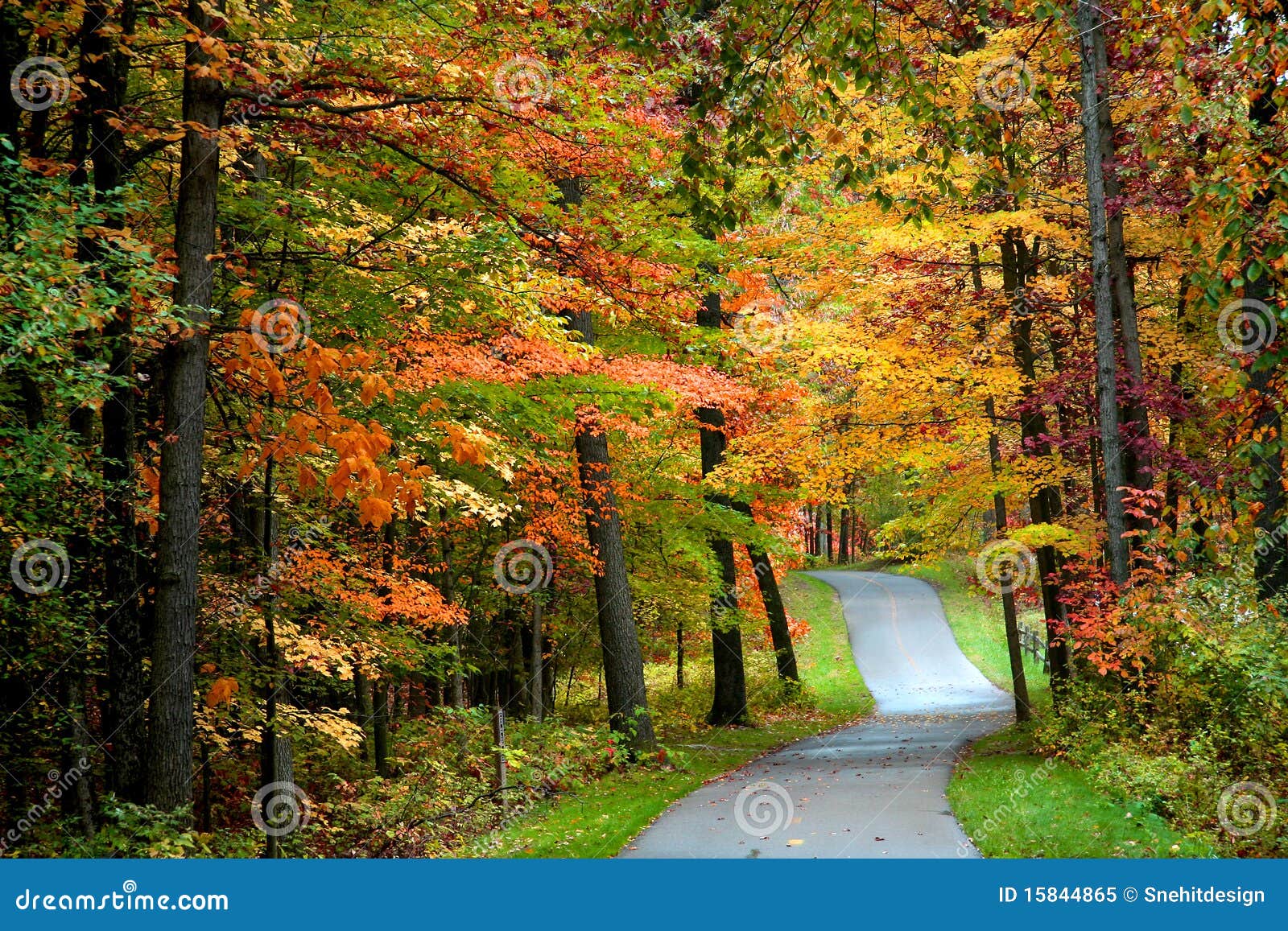 Autumn bike trail stock image. Image of orange, seasonal - 15844865
