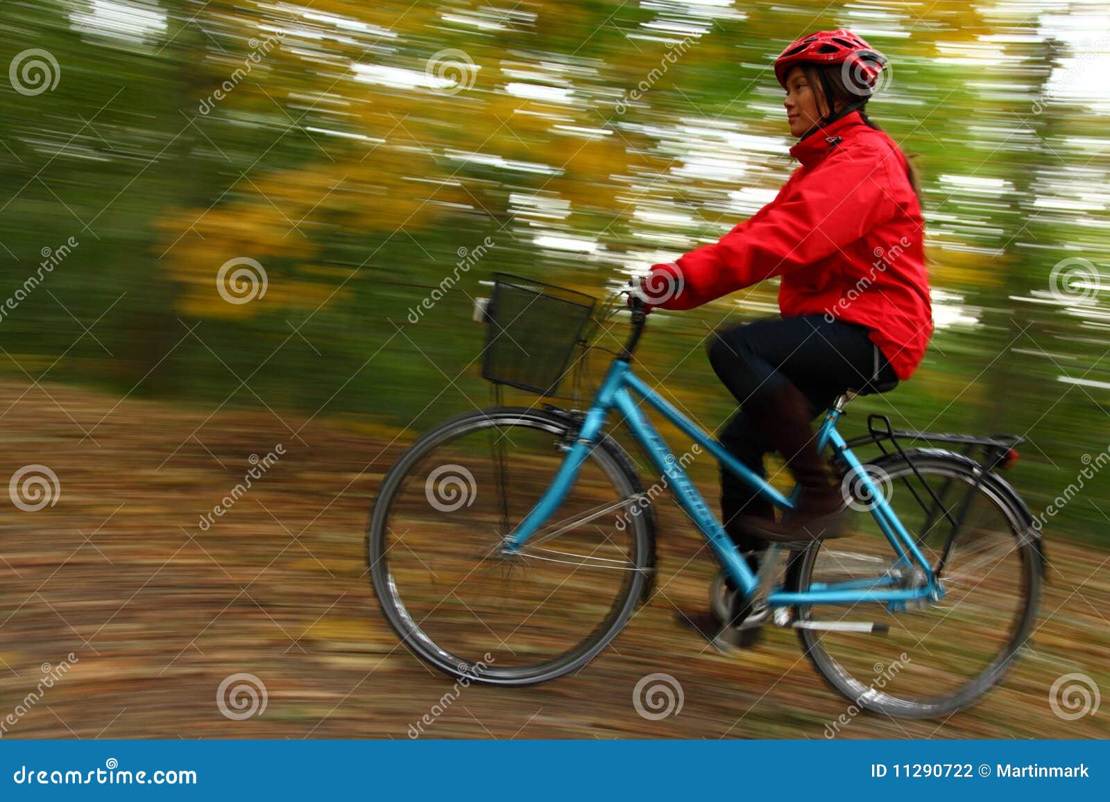 Autumn biking stock photo. Image of field, active, bike - 11290722