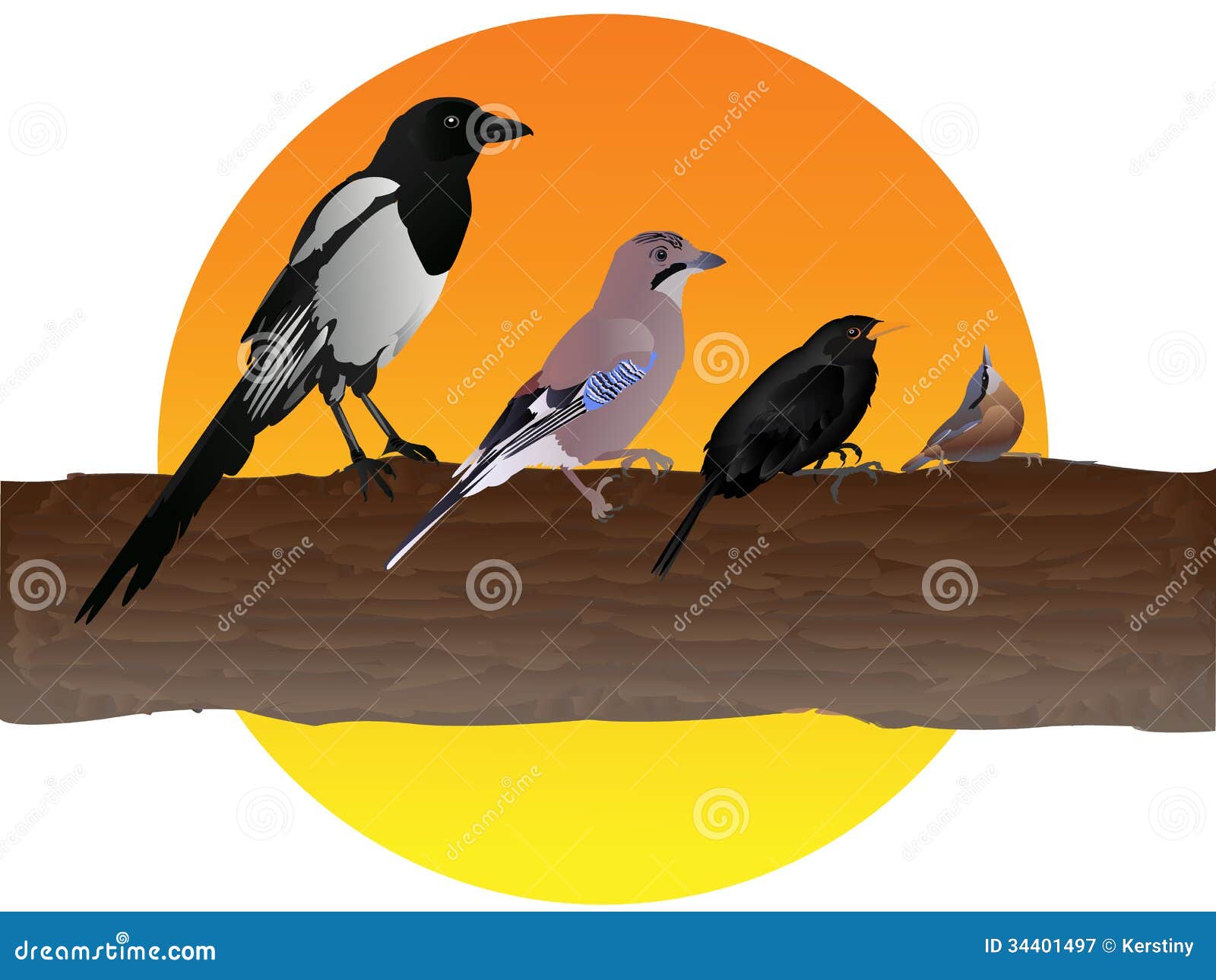 In Autumn, Birds Fly To Warm Lands, Schools, Cartoon Illustration ...