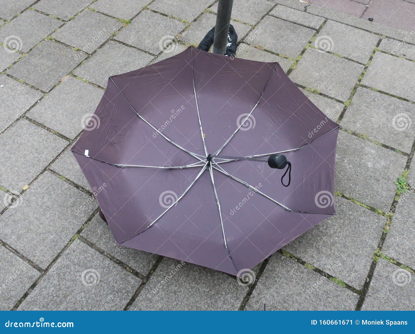 Autumn: Black Broken Umbrella Laying Down on the Sidewalk Stock Image ...