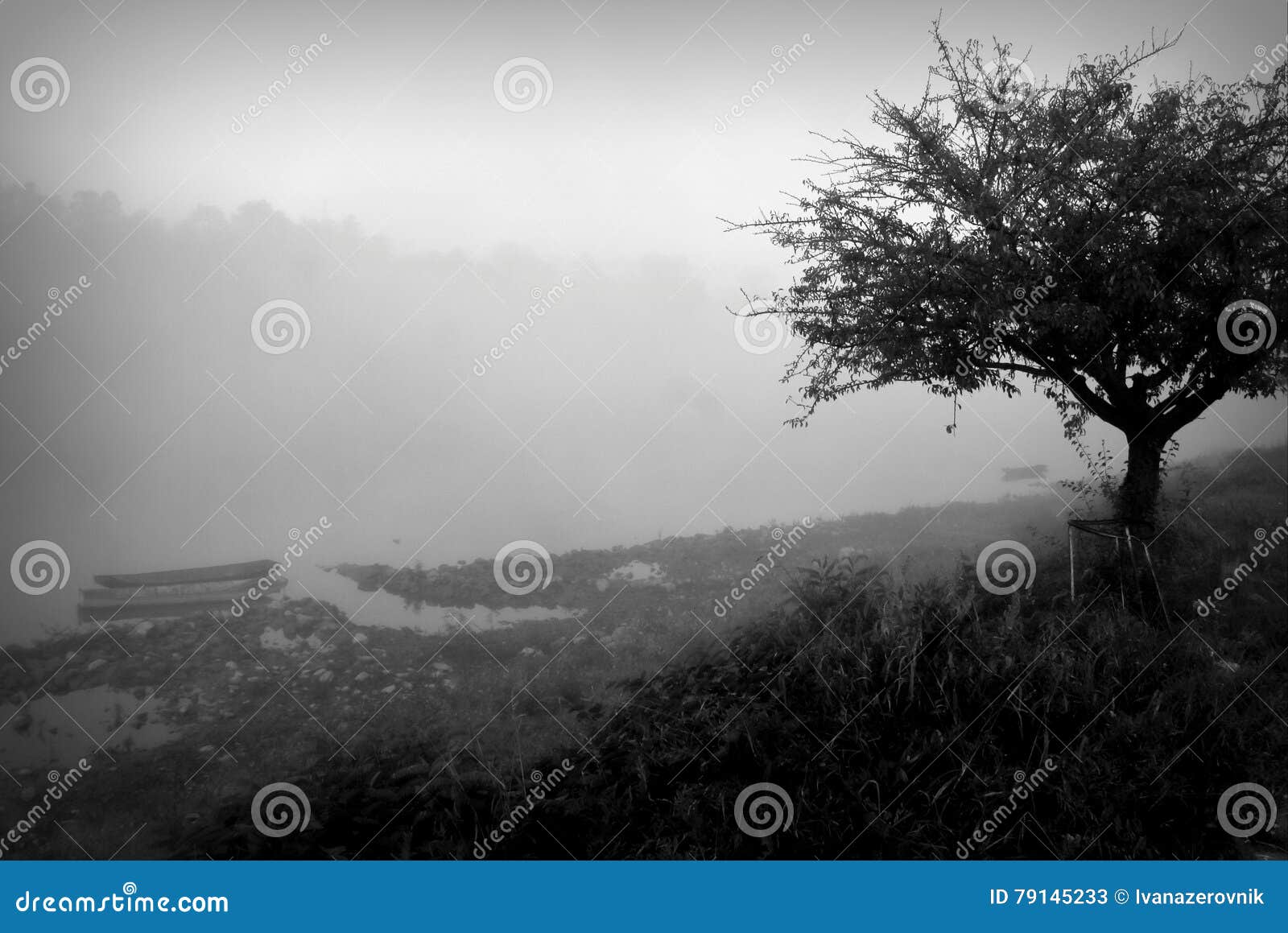 Autumn Black and White River Landscape Stock Image - Image of tree ...