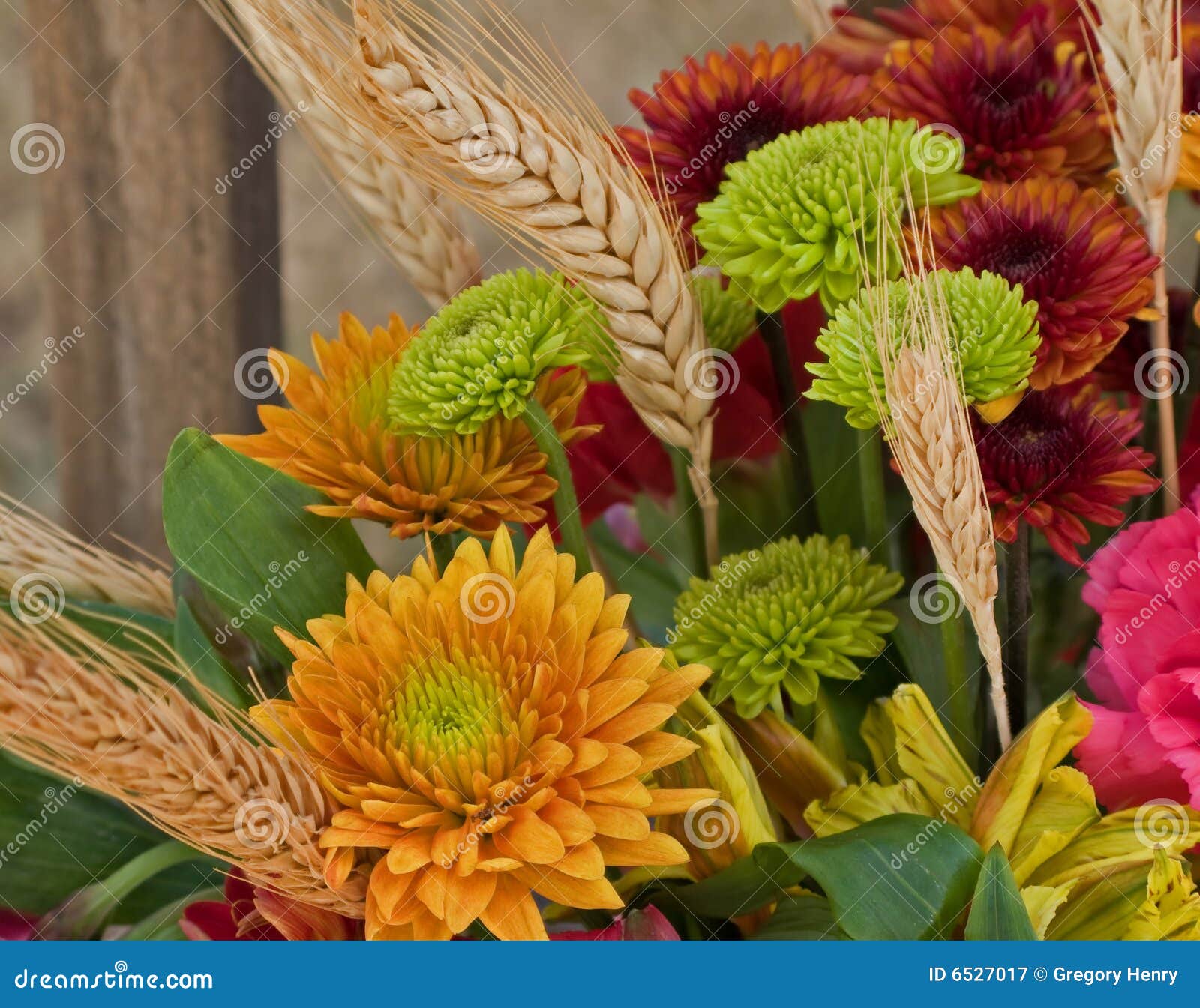 Autumn Blossoms stock image. Image of thanksgiving, greenery - 6527017