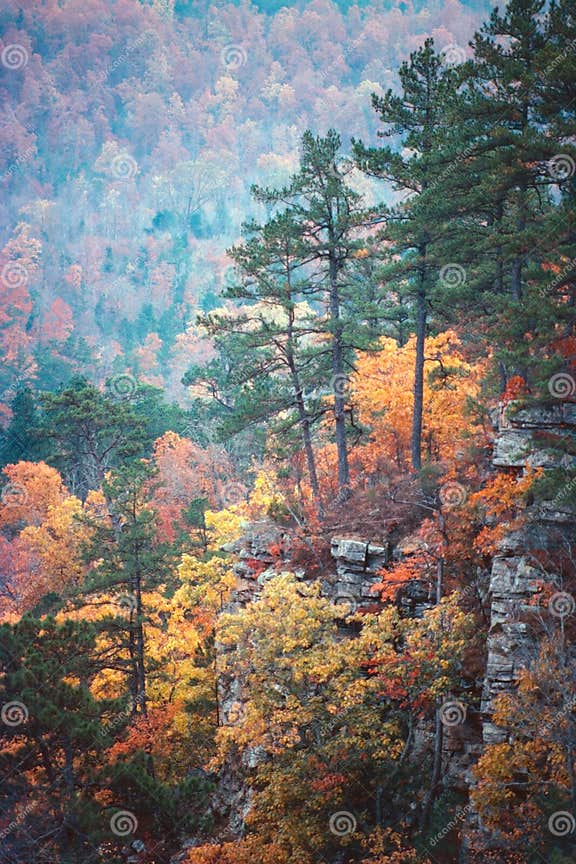 Autumn bluff stock image. Image of arkansas, autumn, foliage - 4786729
