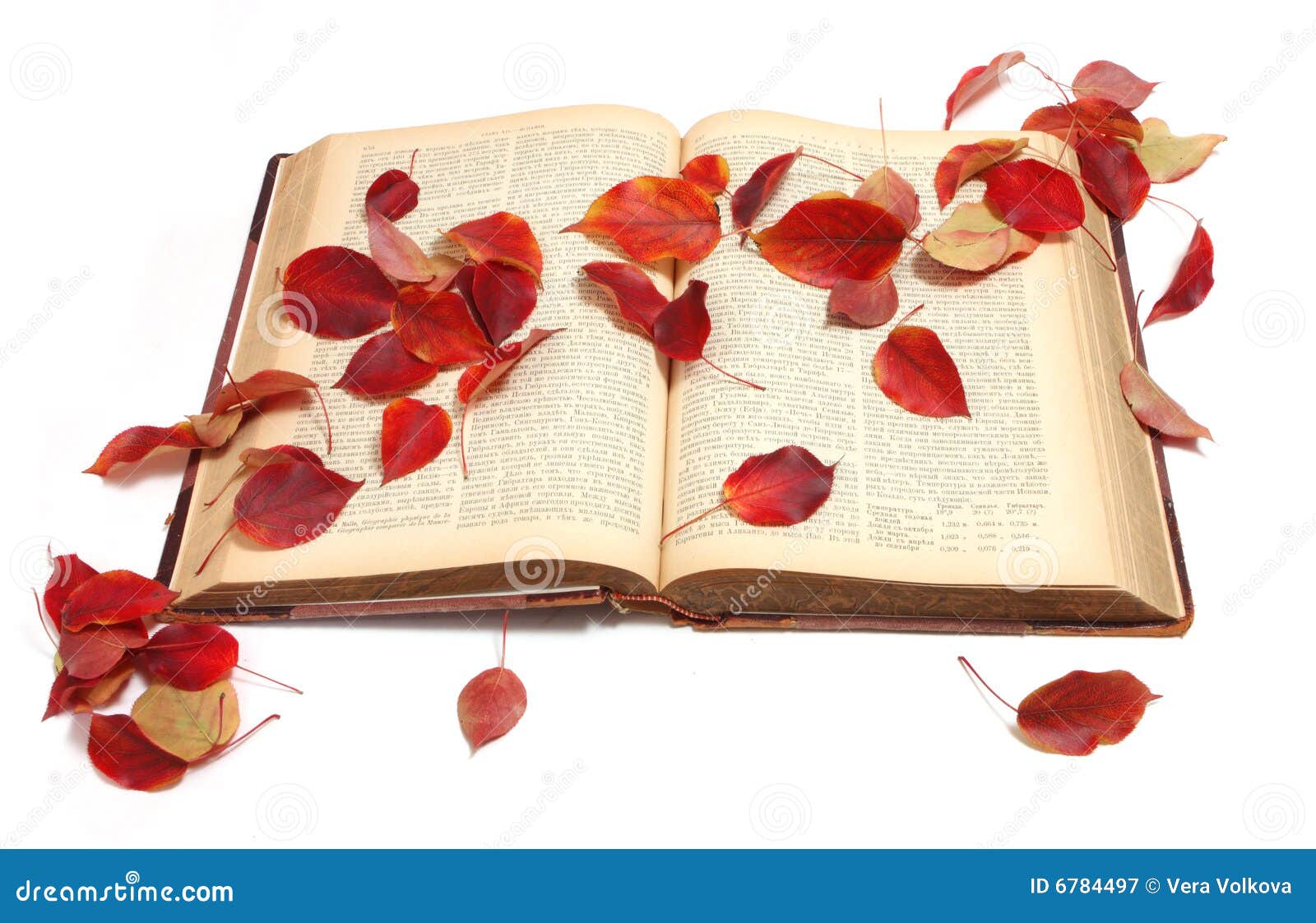 Autumn book stock image. Image of environment, light, nature - 6784497