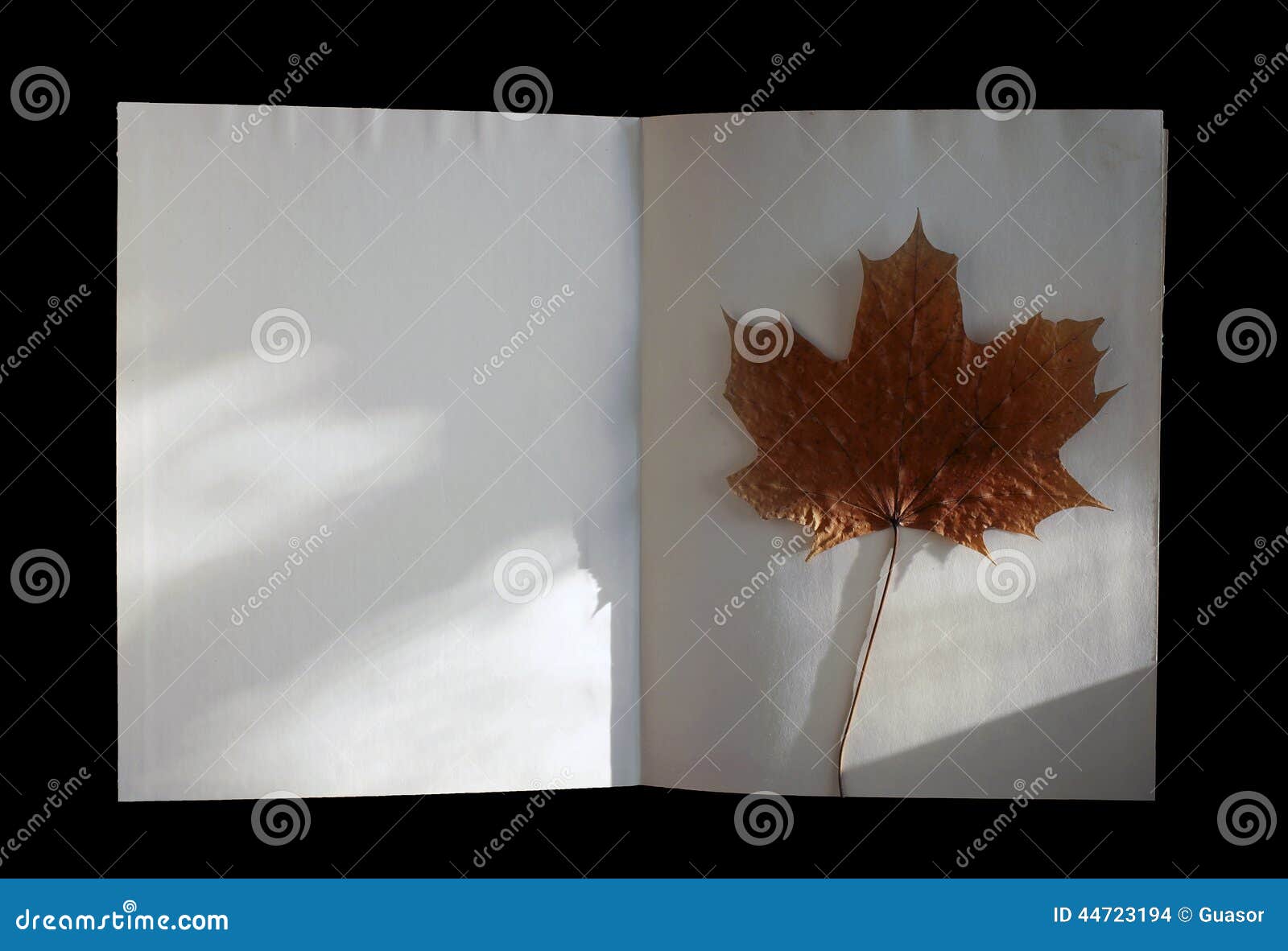 Autumn Book with Maple-leaf Stock Photo - Image of memoirs, history ...