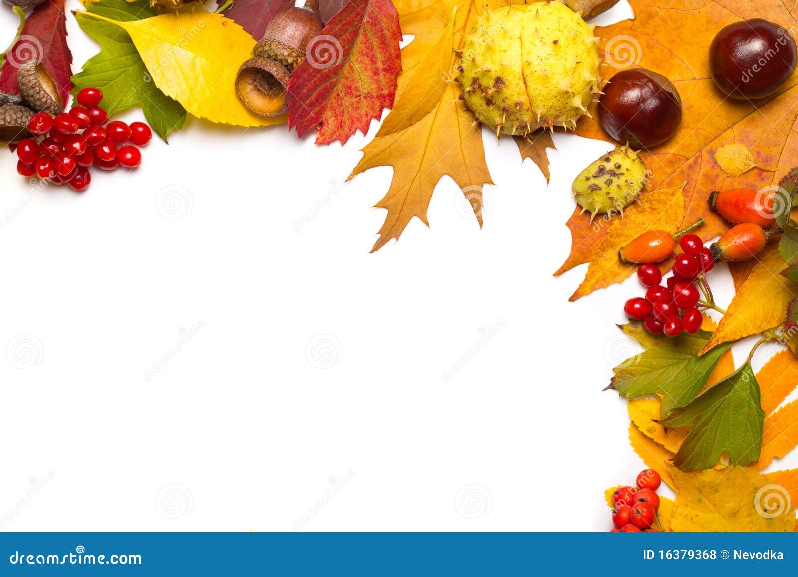 Autumn border stock photo. Image of leaf, color, bright - 16379368