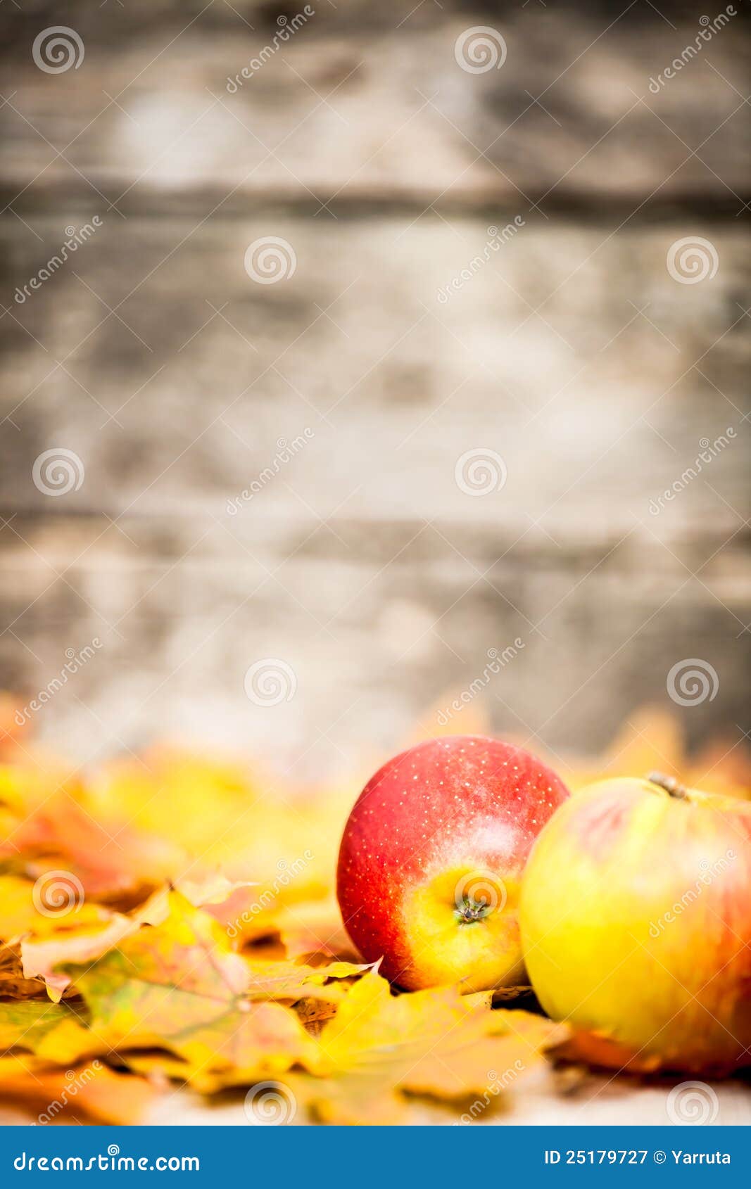 Autumn Border from Apples and Leaves Stock Image - Image of fall ...