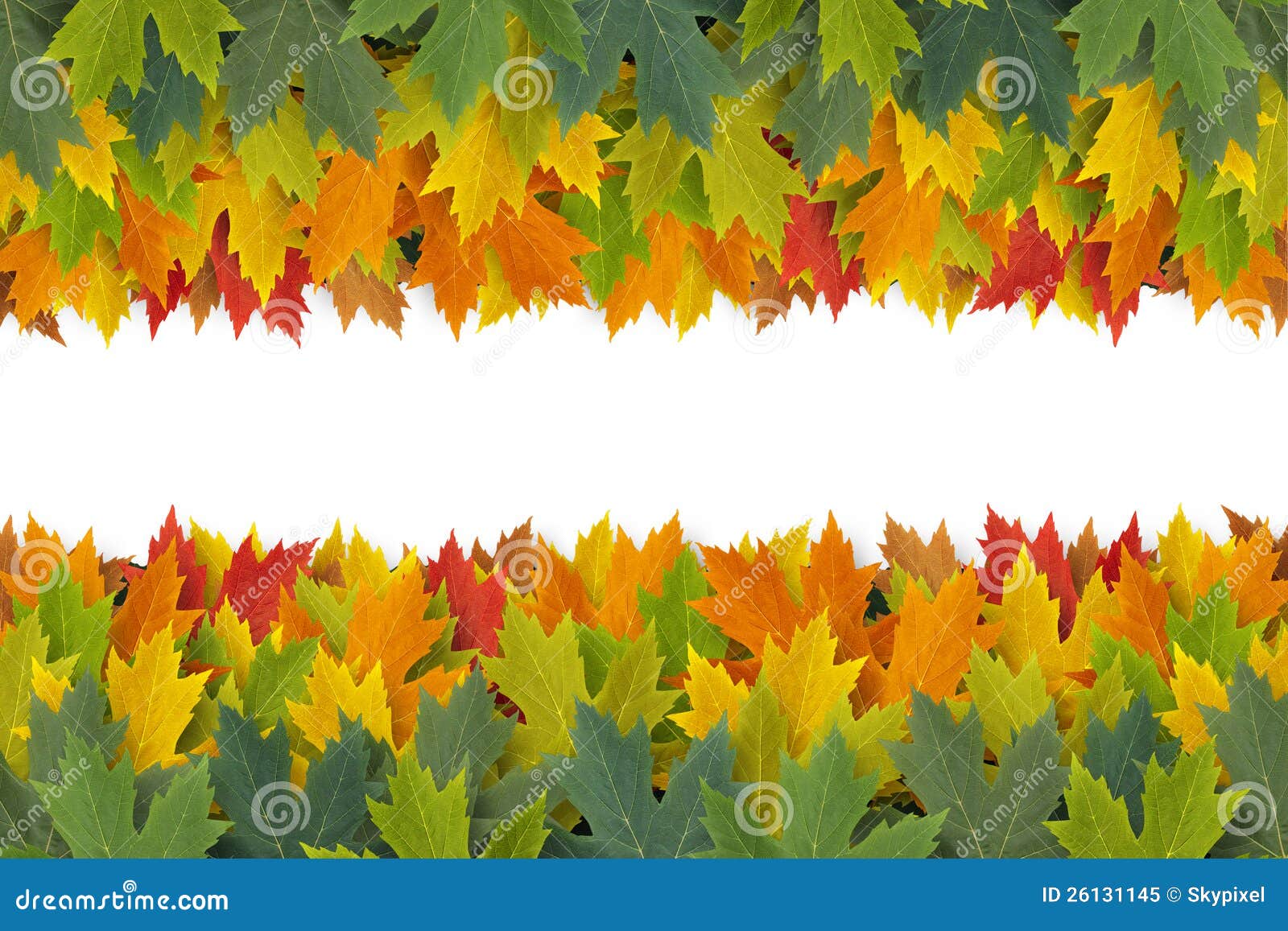 Autumn Border Design stock illustration. Illustration of aging - 26131145