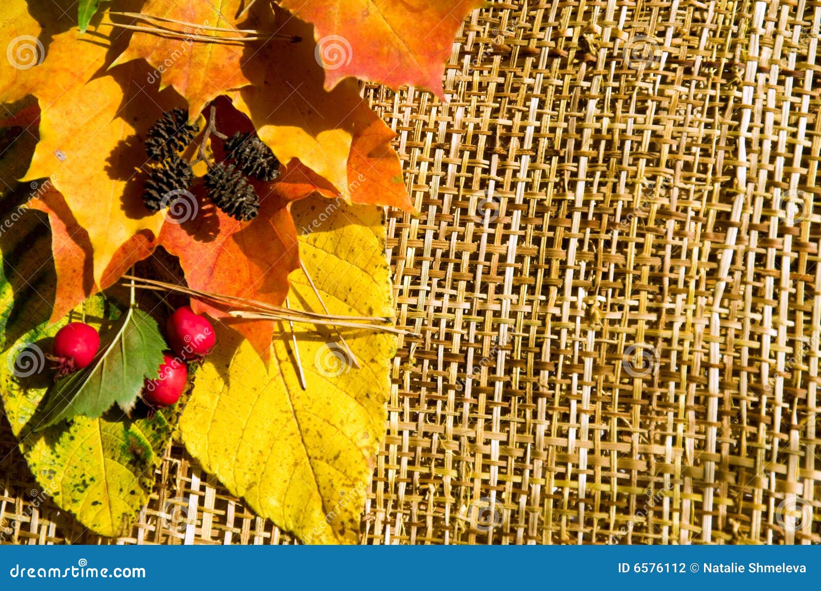 Autumn border horizontal stock photo. Image of green, bright - 6576112