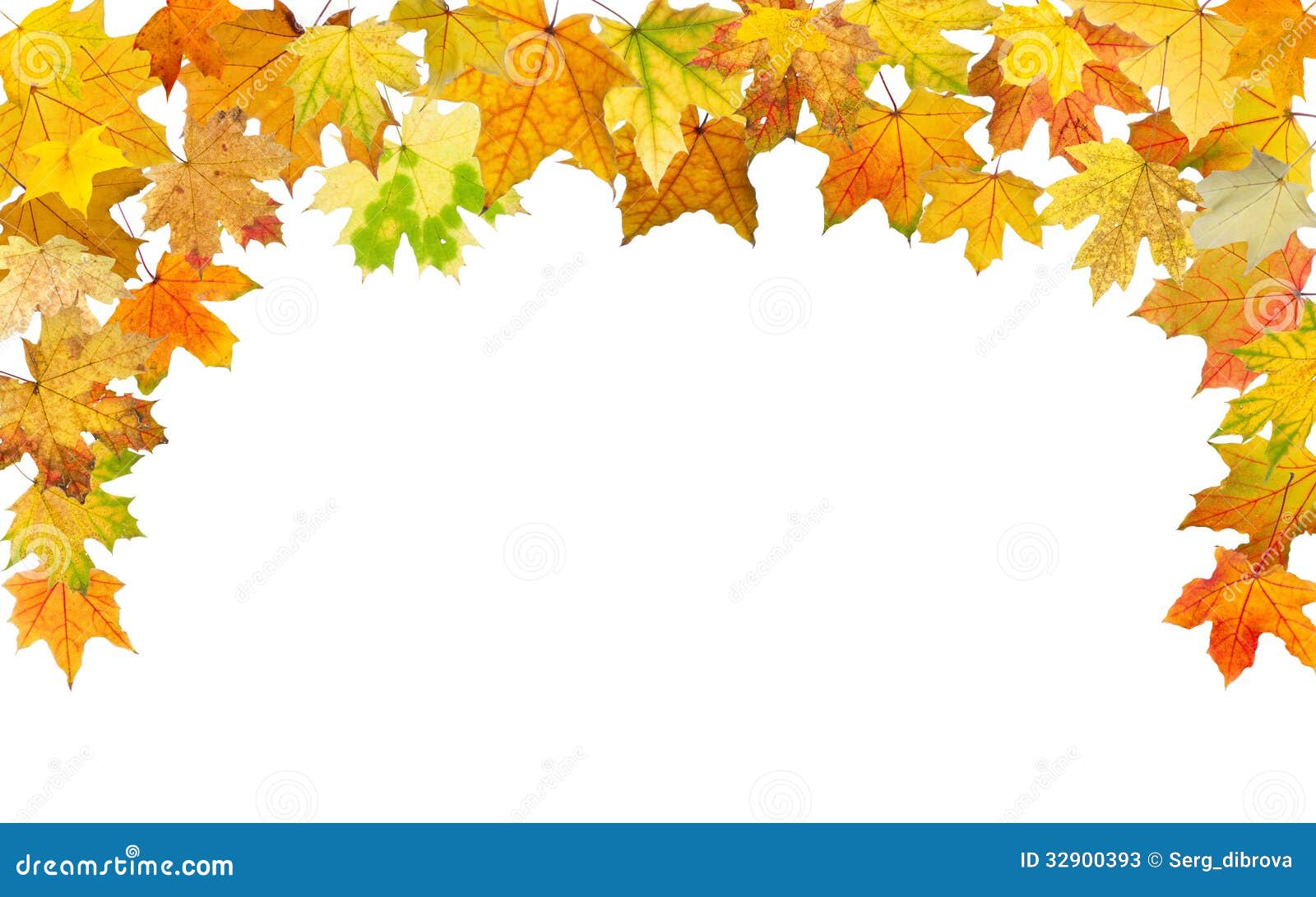 Fall Maple Leaves Border