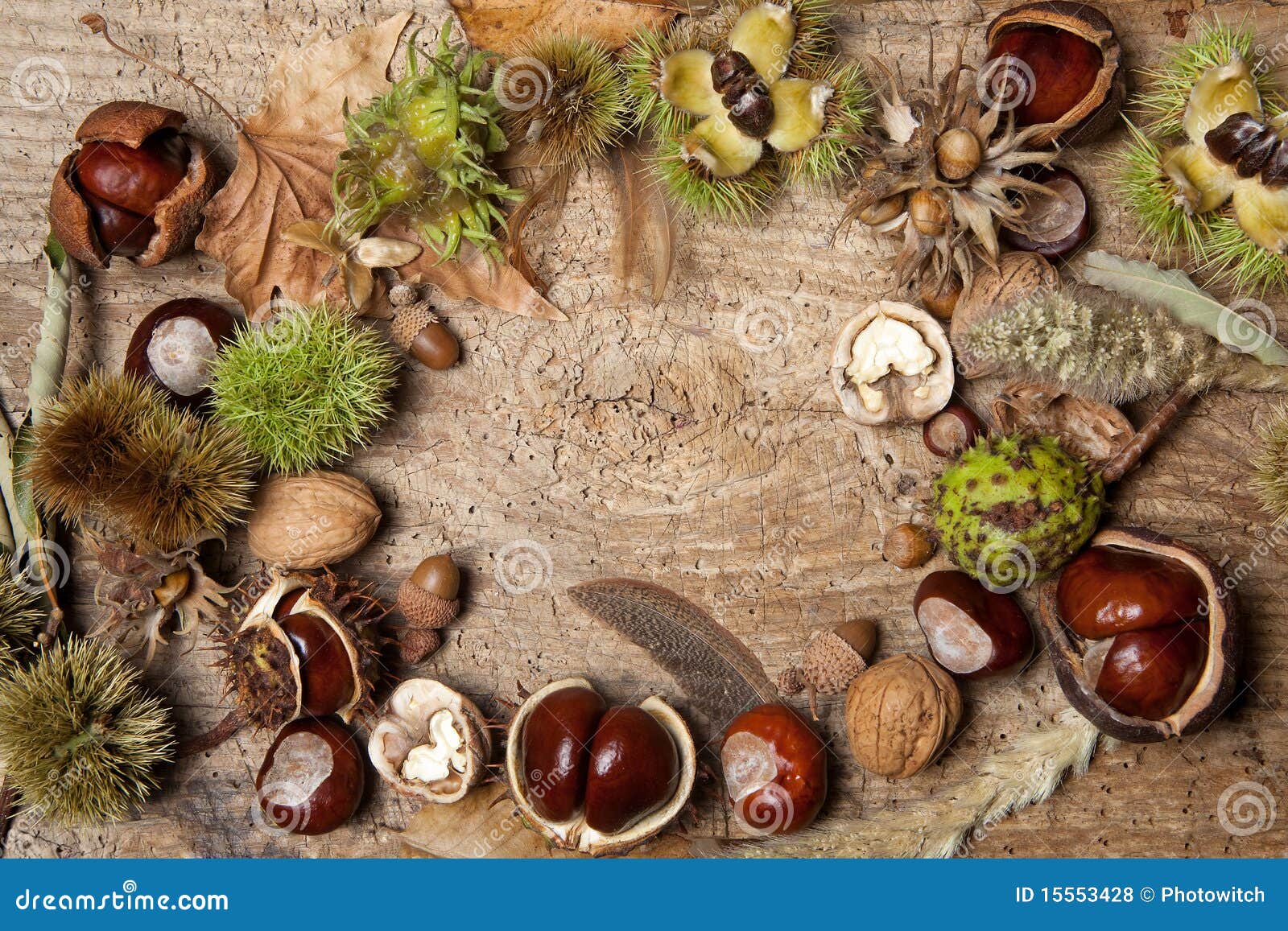 Autumn border with nuts stock photo. Image of edges, hazel - 15553428