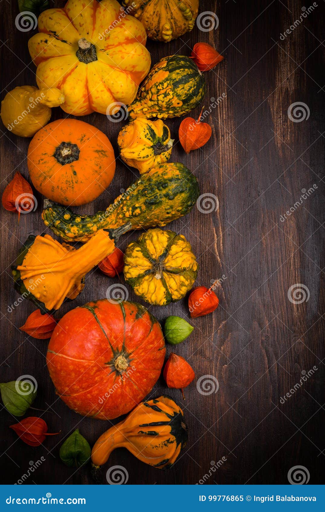 Cornucopia Border Royalty-Free Stock Image | CartoonDealer.com #3405100