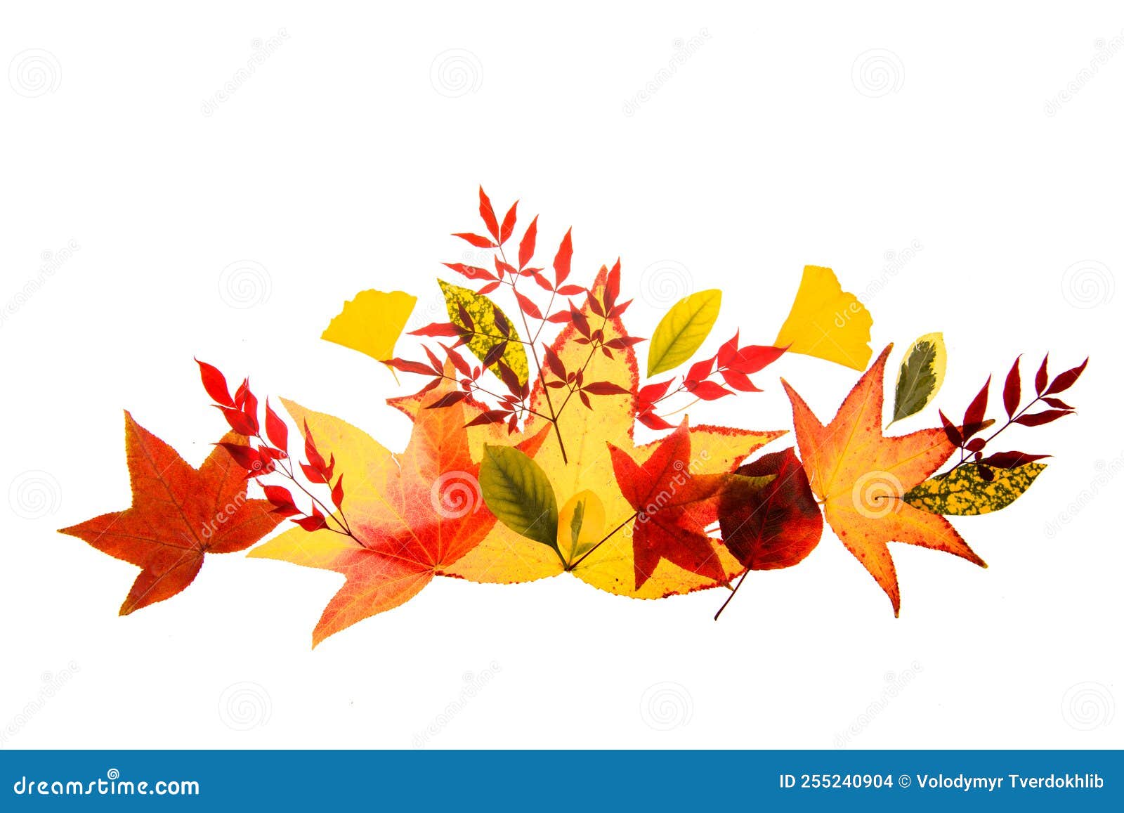 Autumn Borders and Frames for Design Banners, Leaflets, Posters with ...