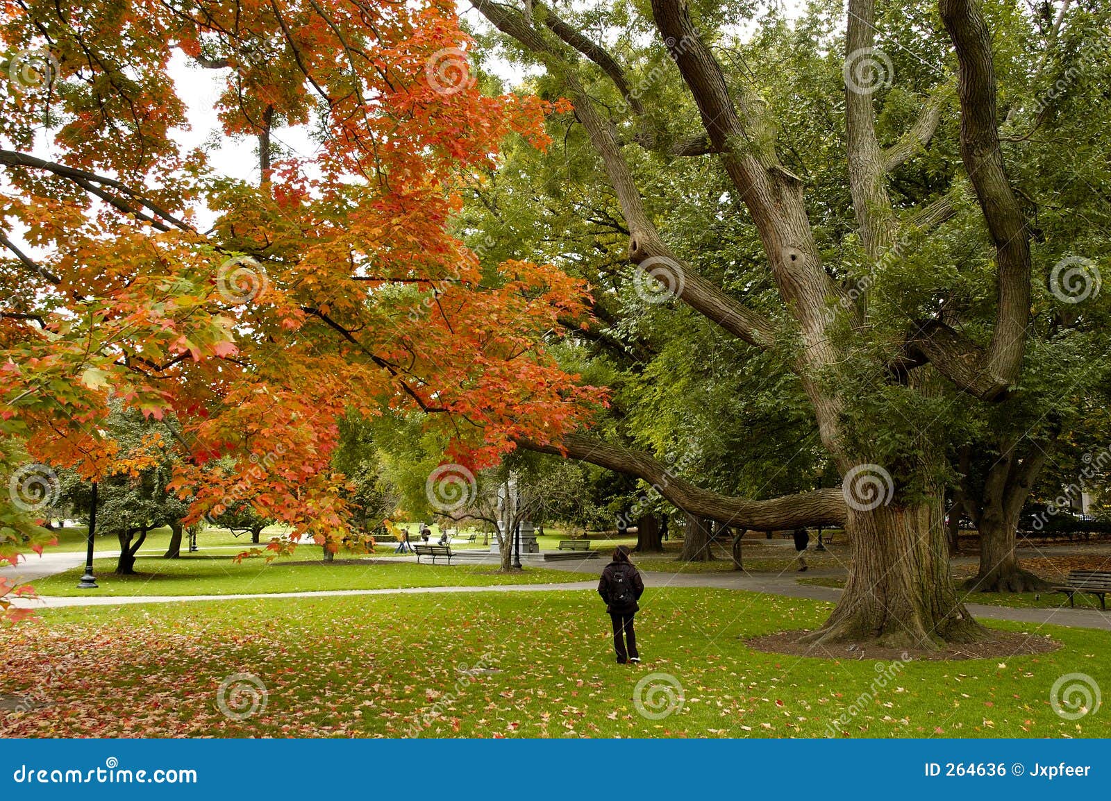 Autumn at Boston Common editorial photo. Image of orange - 264636
