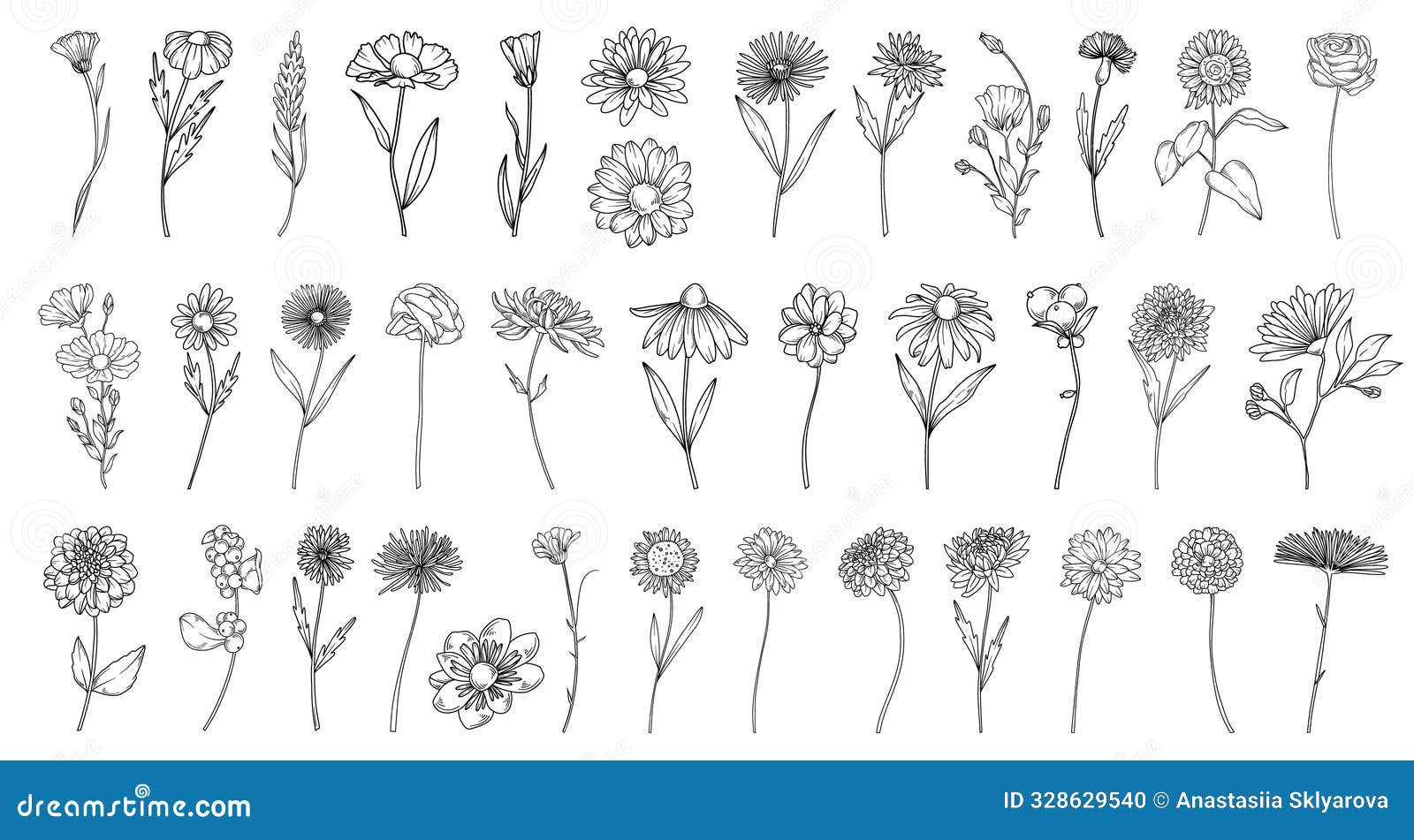 Autumn Botanical Line Drawing Set, Hand Drawn Fall Flowers Stock Vector ...
