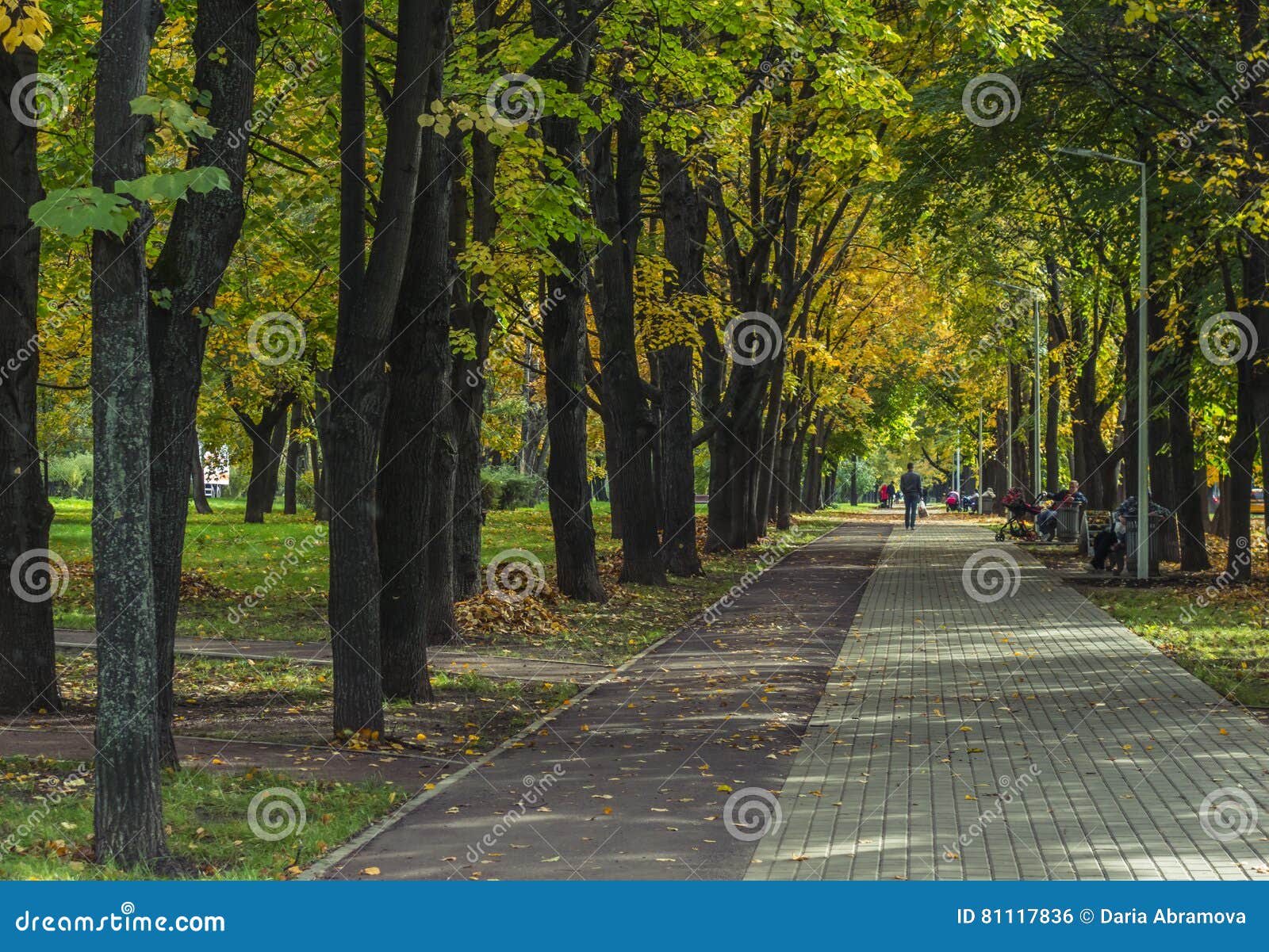 Autumn boulevard editorial photo. Image of boulevard - 81117836