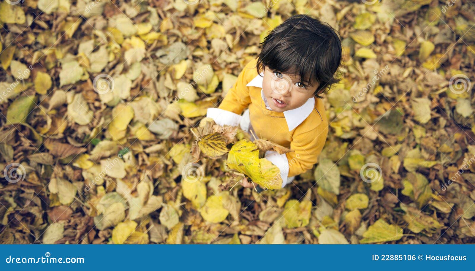 Autumn Boy foto de stock. Imagem de sazonal, olhar, maravilha - 22885106