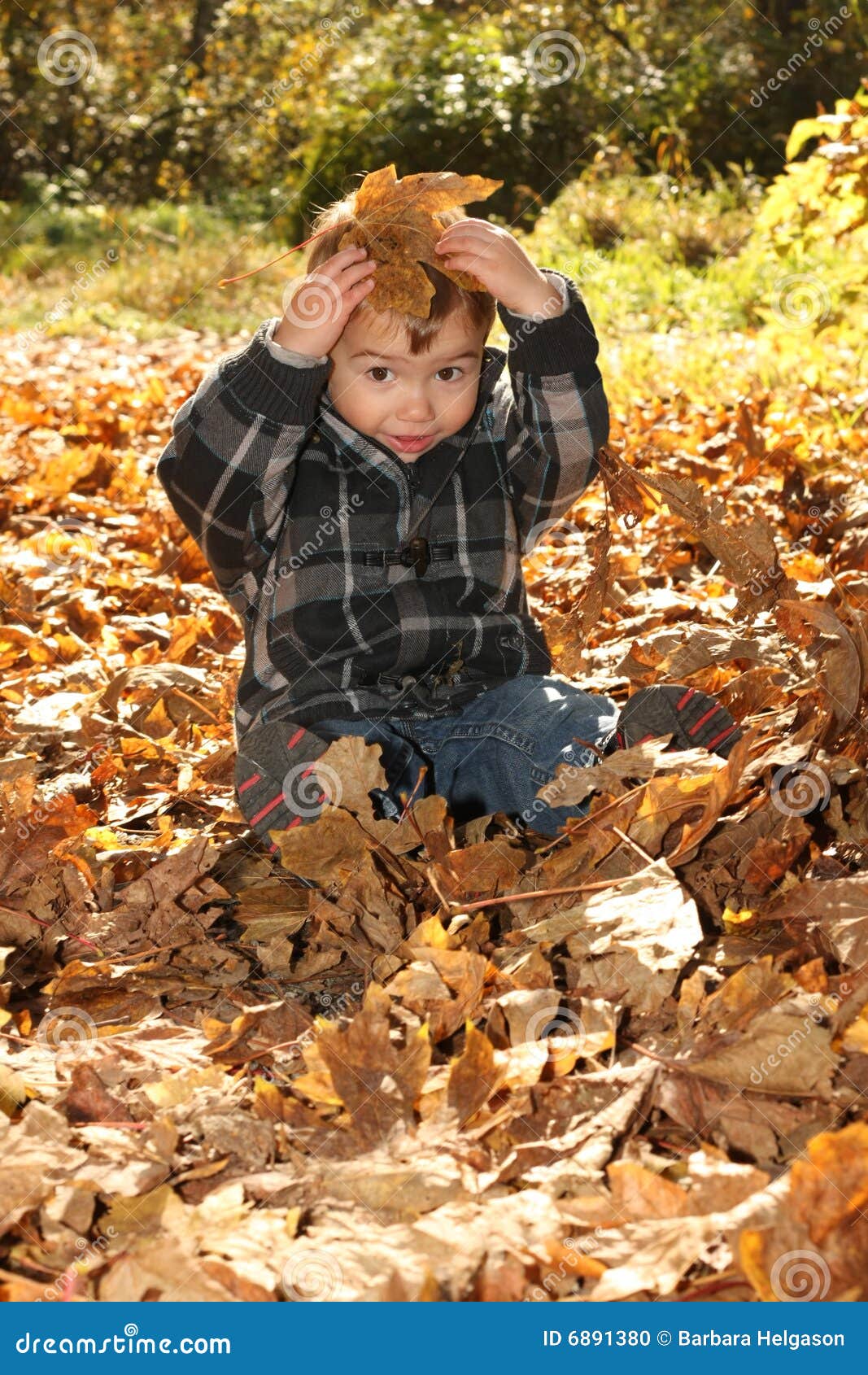 Autumn boy stock photo. Image of season, fall, toddler - 6891380