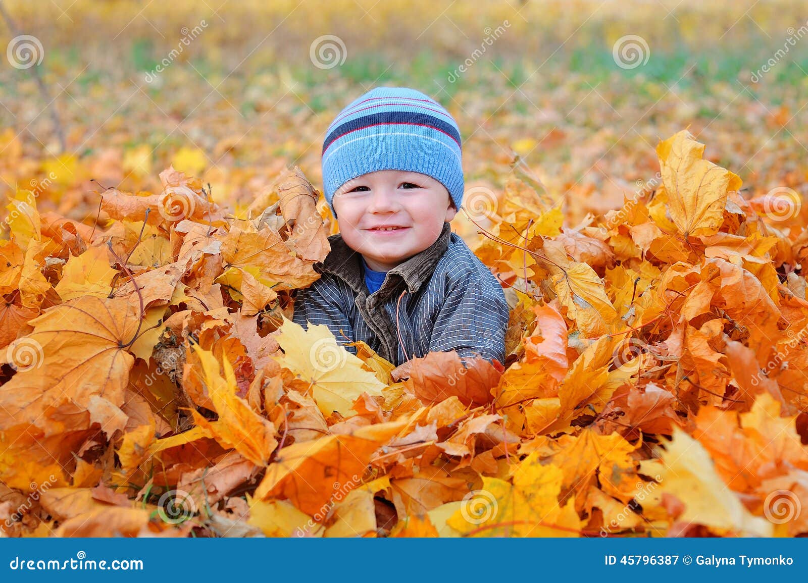Autumn Boy Portrait Shoot in the Garden Stock Image - Image of golden ...